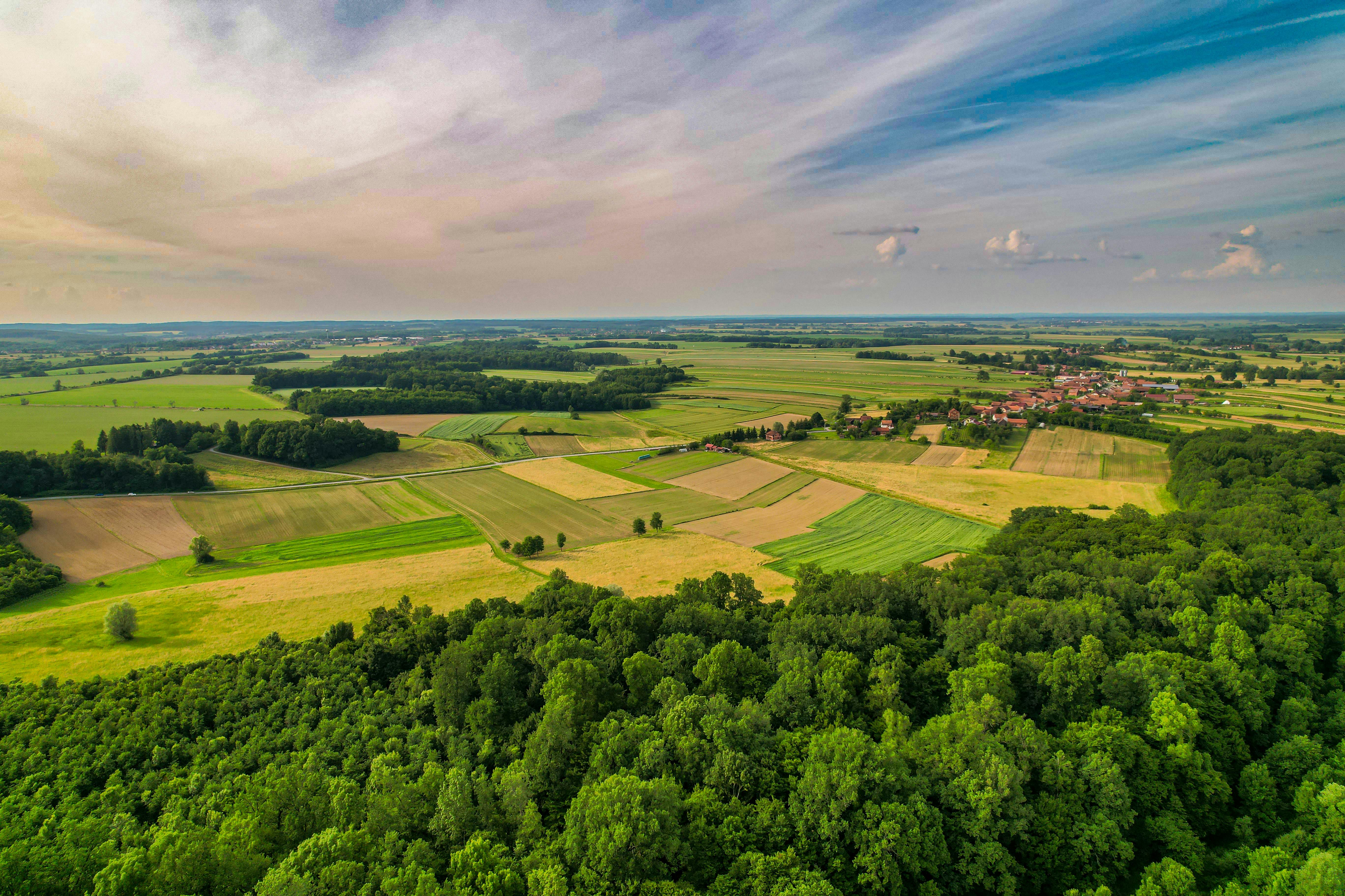 Forest and Fields in Countryside · Free Stock Photo
