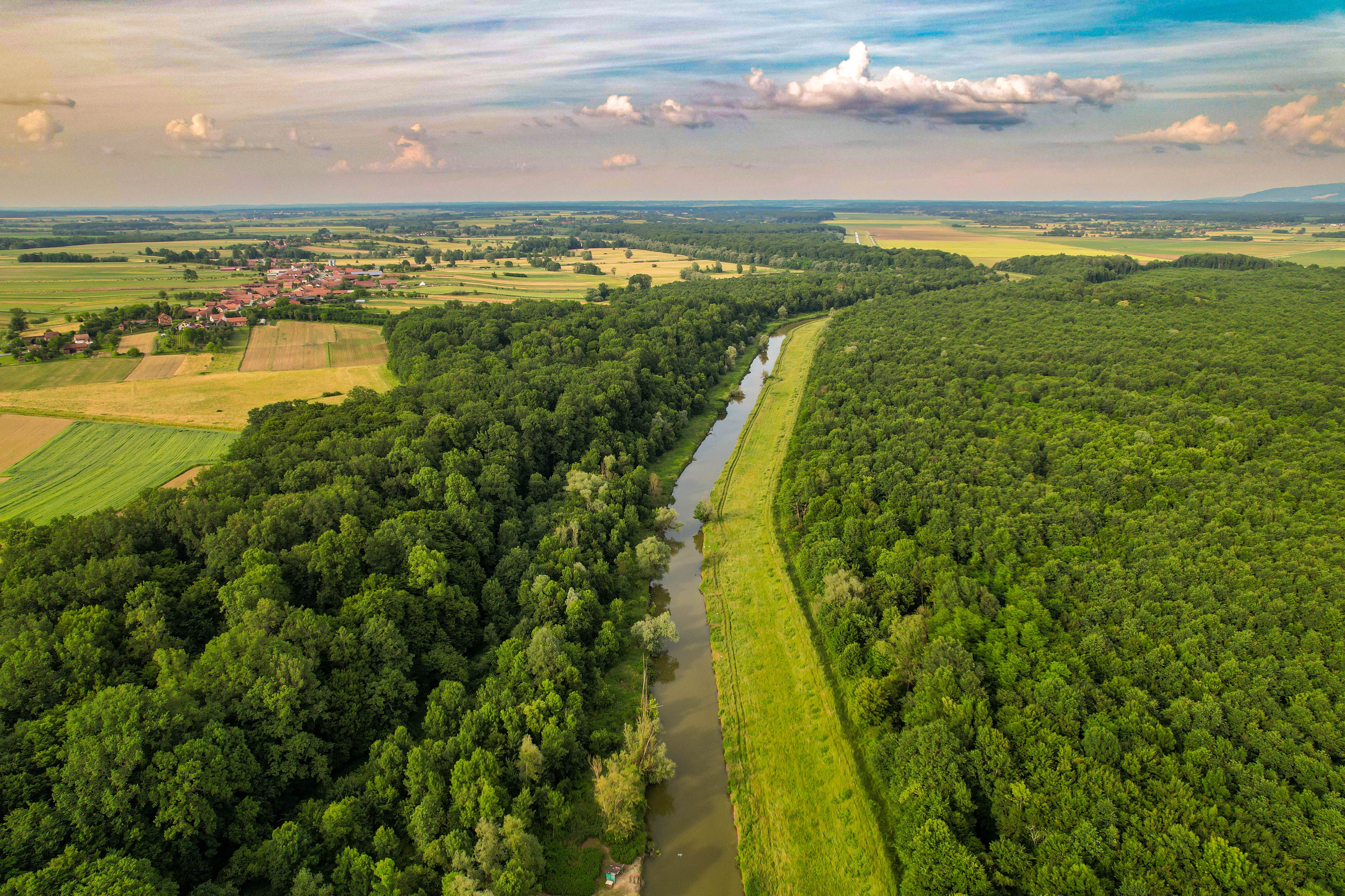 Aerial View of Greenery in the Countryside · Free Stock Photo
