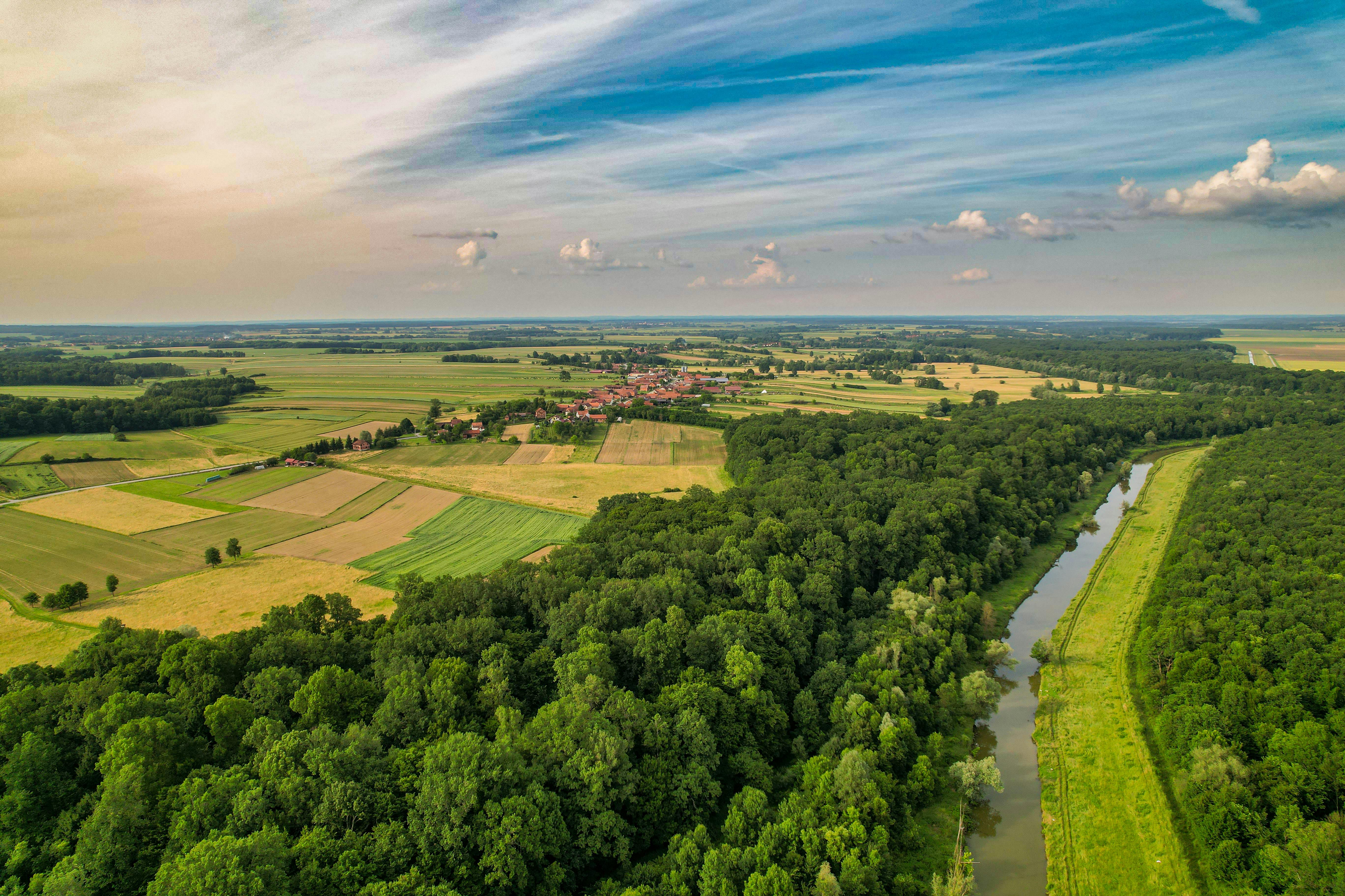 Birds Eye View of Forest and River in Countryside · Free Stock Photo