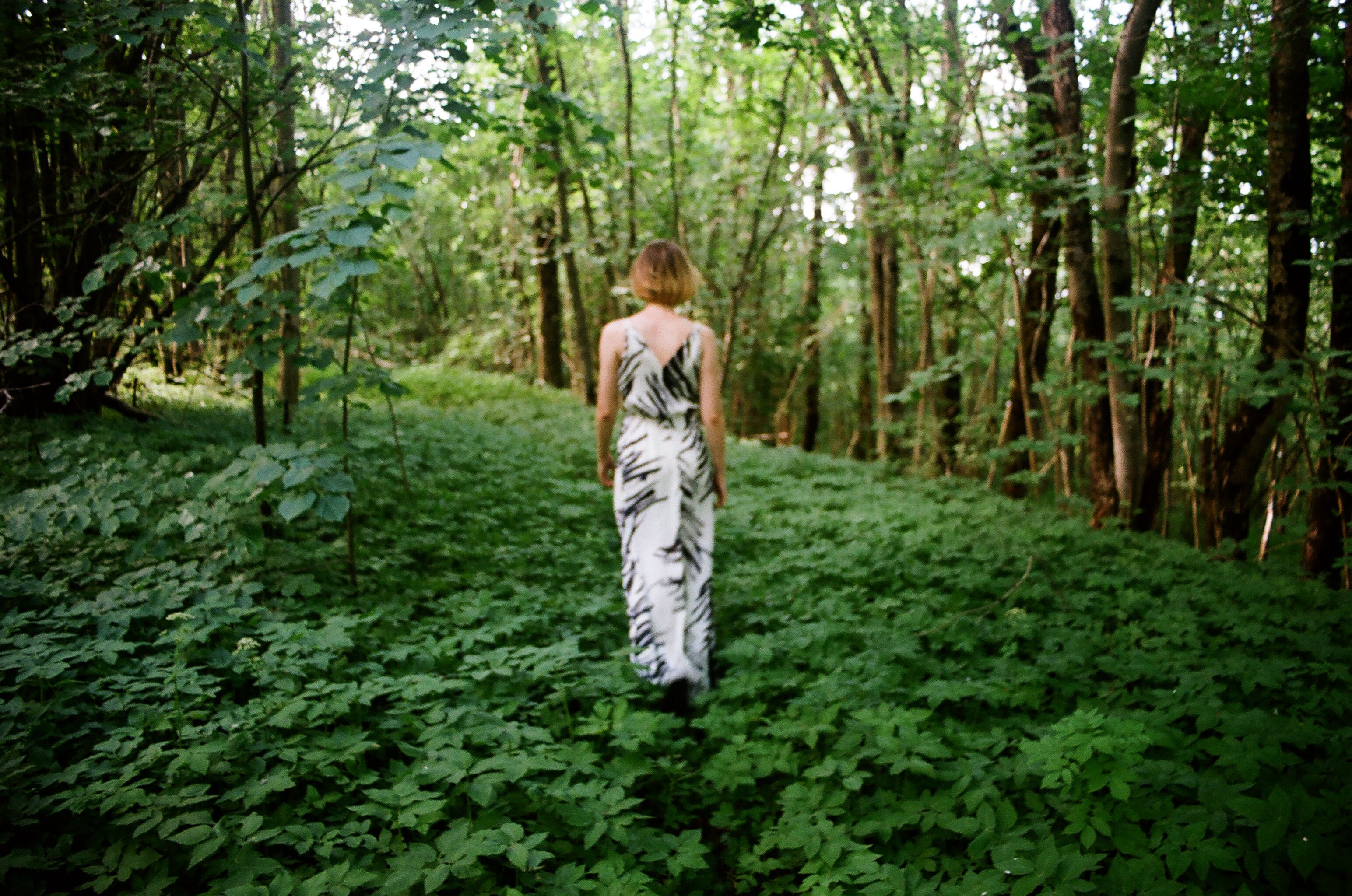 Person Standing In Green Field Surrounded With Trees · Free Stock Photo