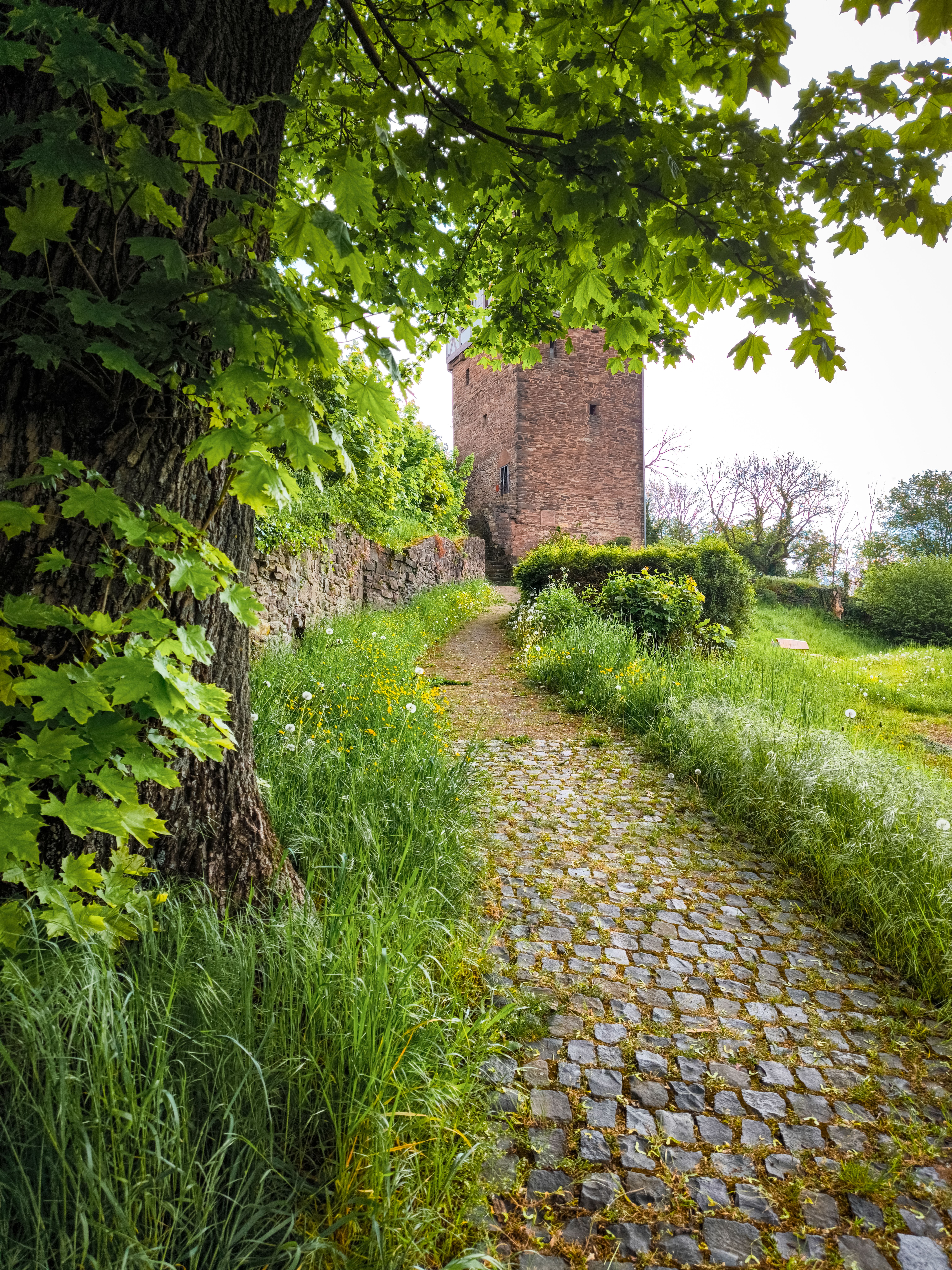 Brick Path by the Forest · Free Stock Photo