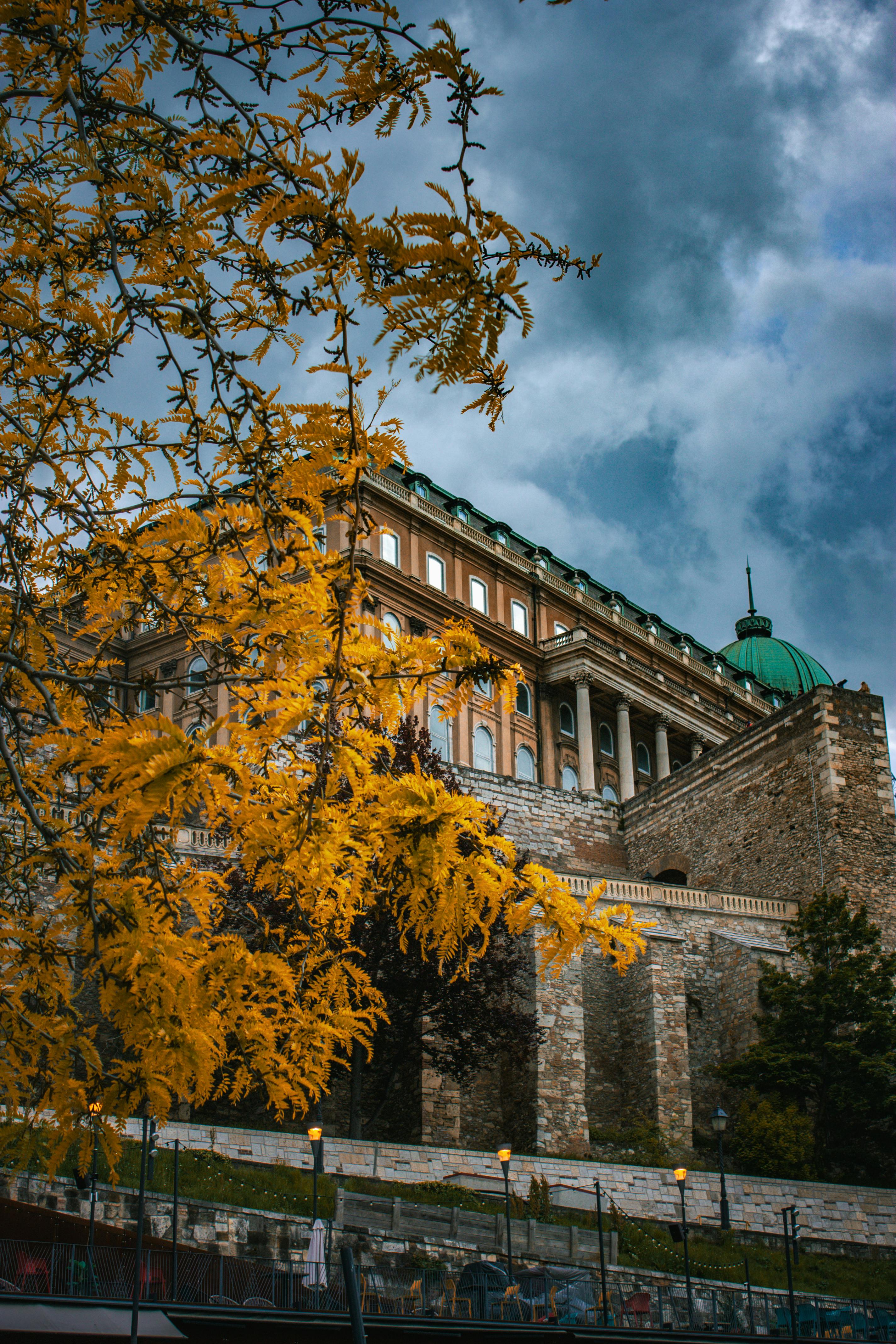 View of an Autumnal Tree and Part of the Buda Castle in Budapest ...
