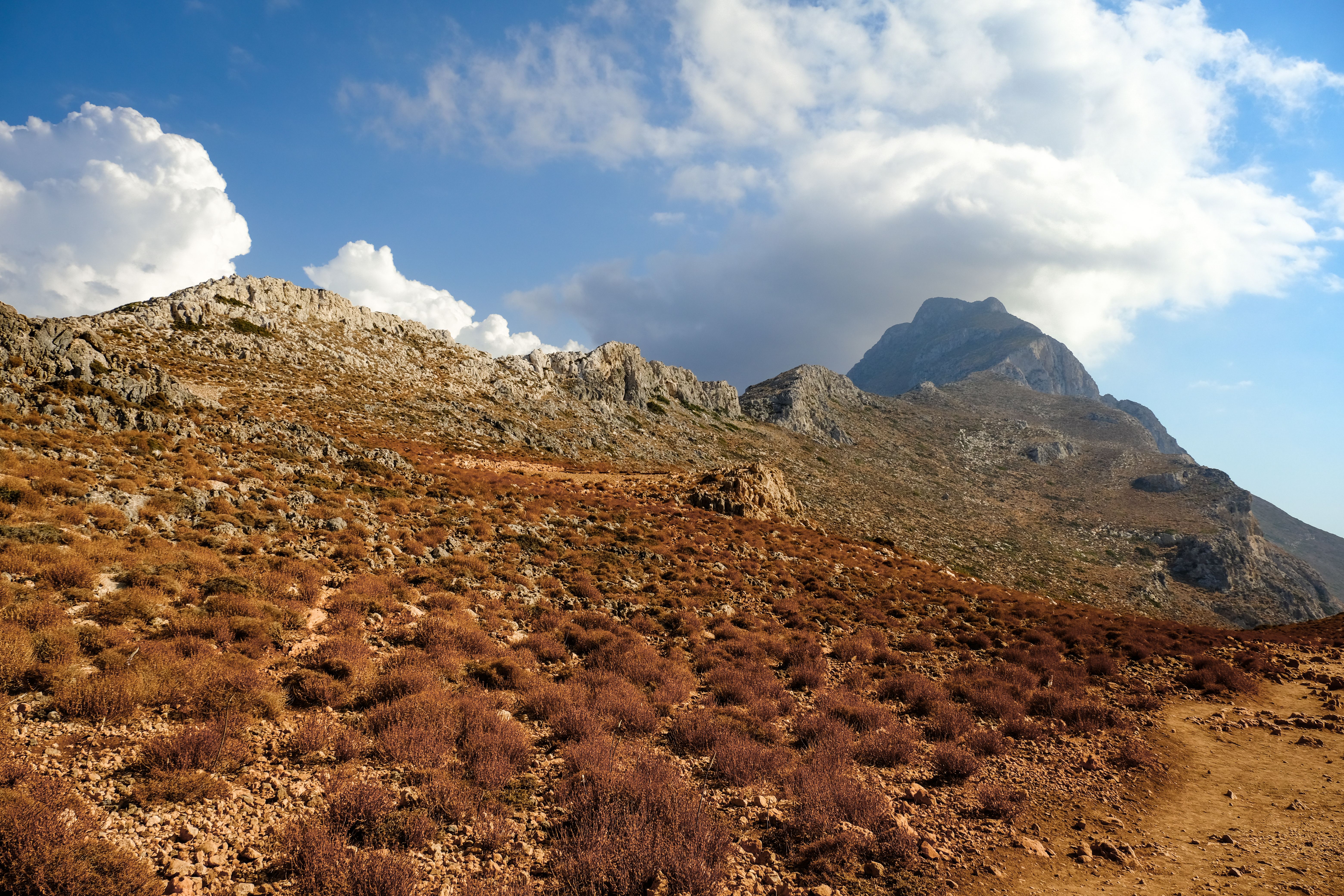 Bushes on Hill under Mountain · Free Stock Photo