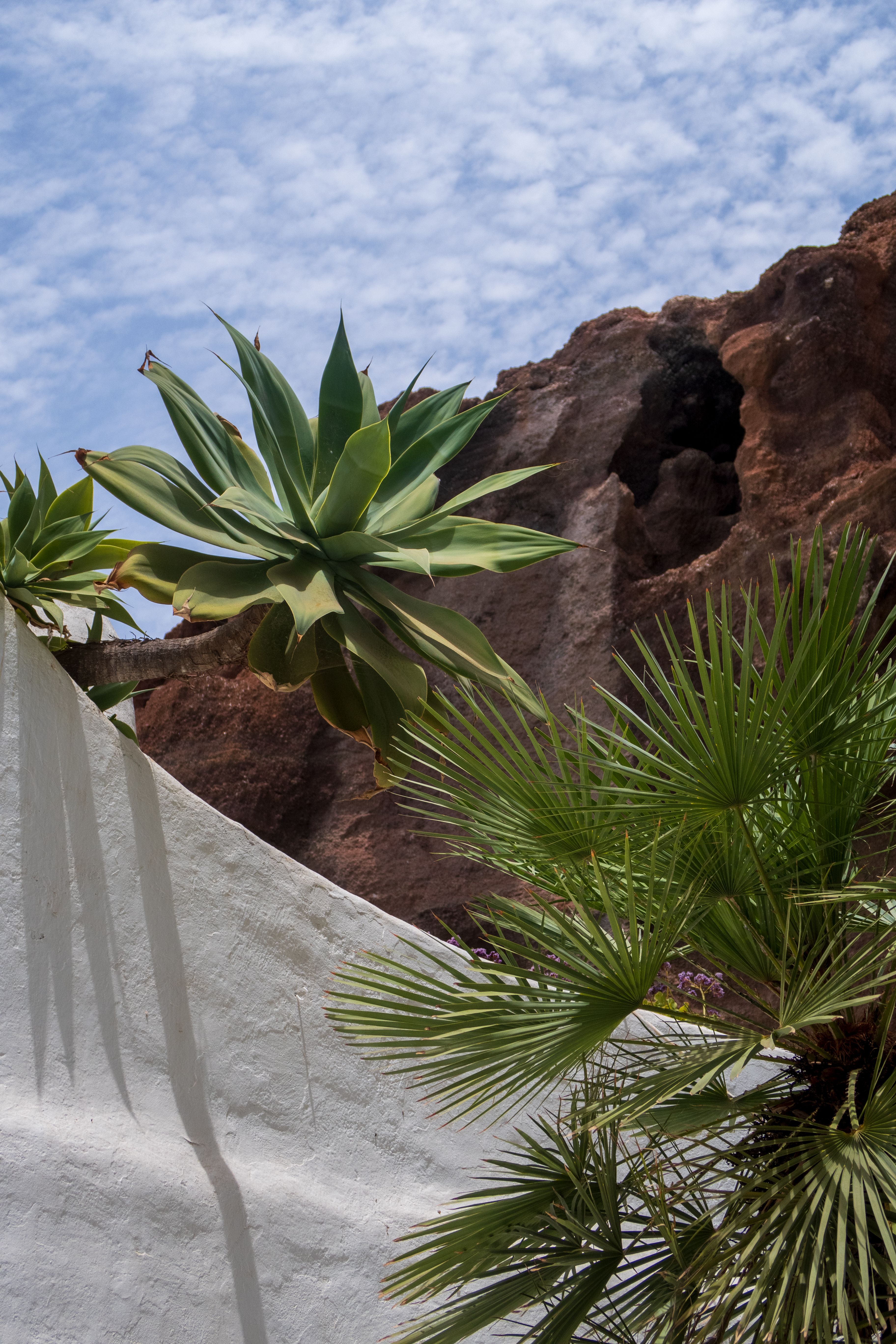 Palm Trees against Rock Formation · Free Stock Photo