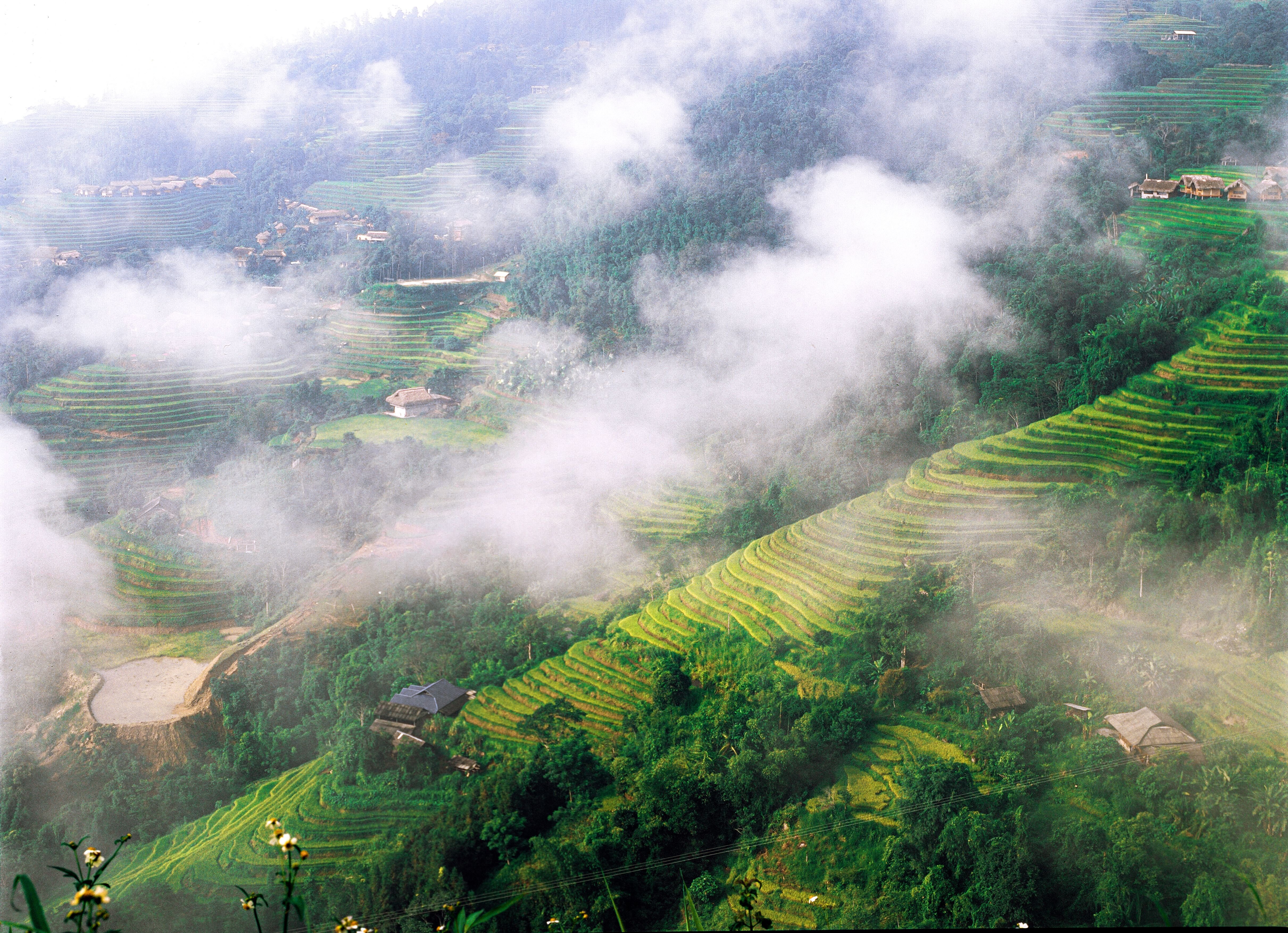 Aerial View of Terrace Plantations on the Hills · Free Stock Photo