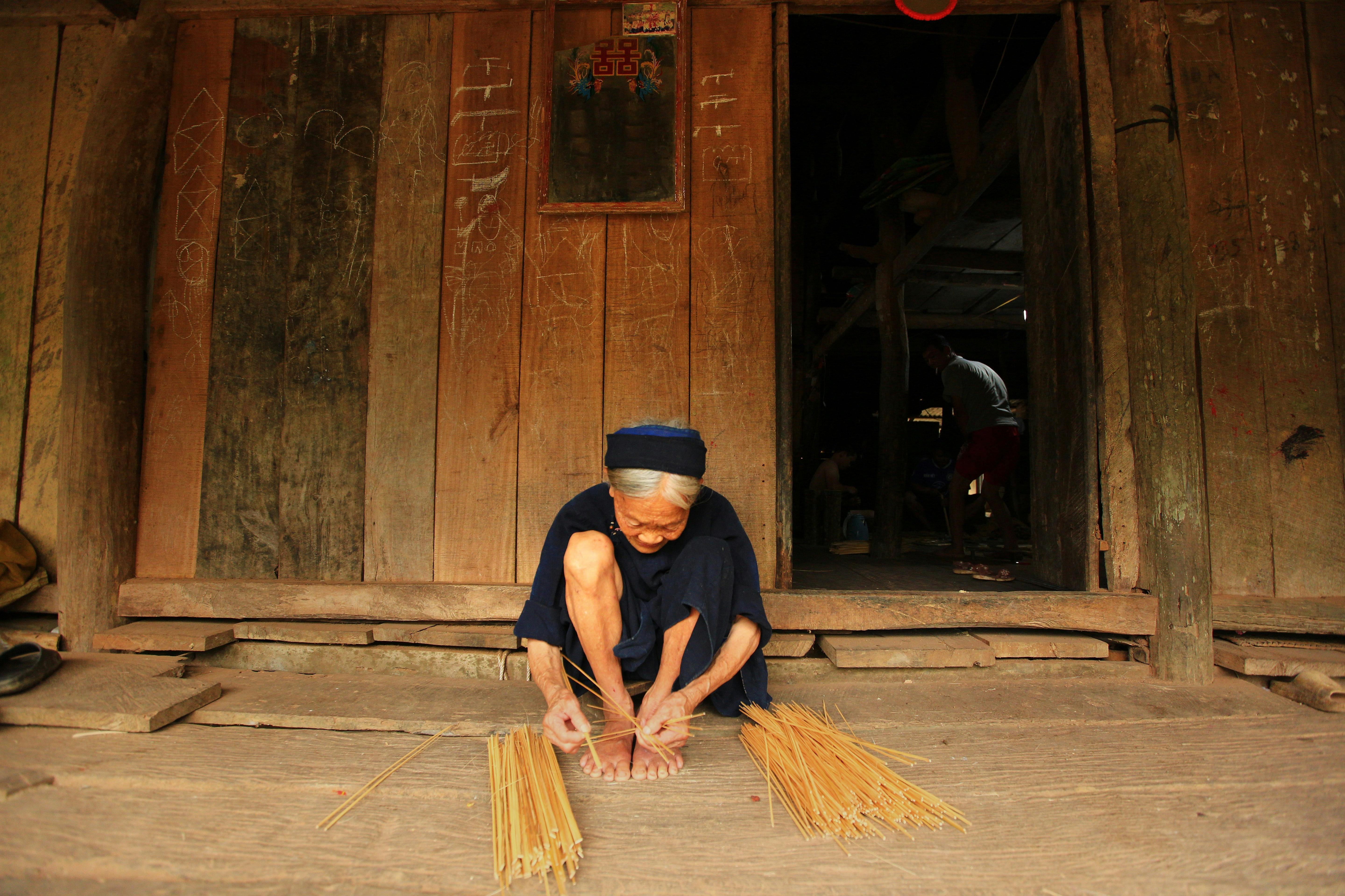 Den Made Of Sticks Photos, Download The BEST Free Den Made Of Sticks ...