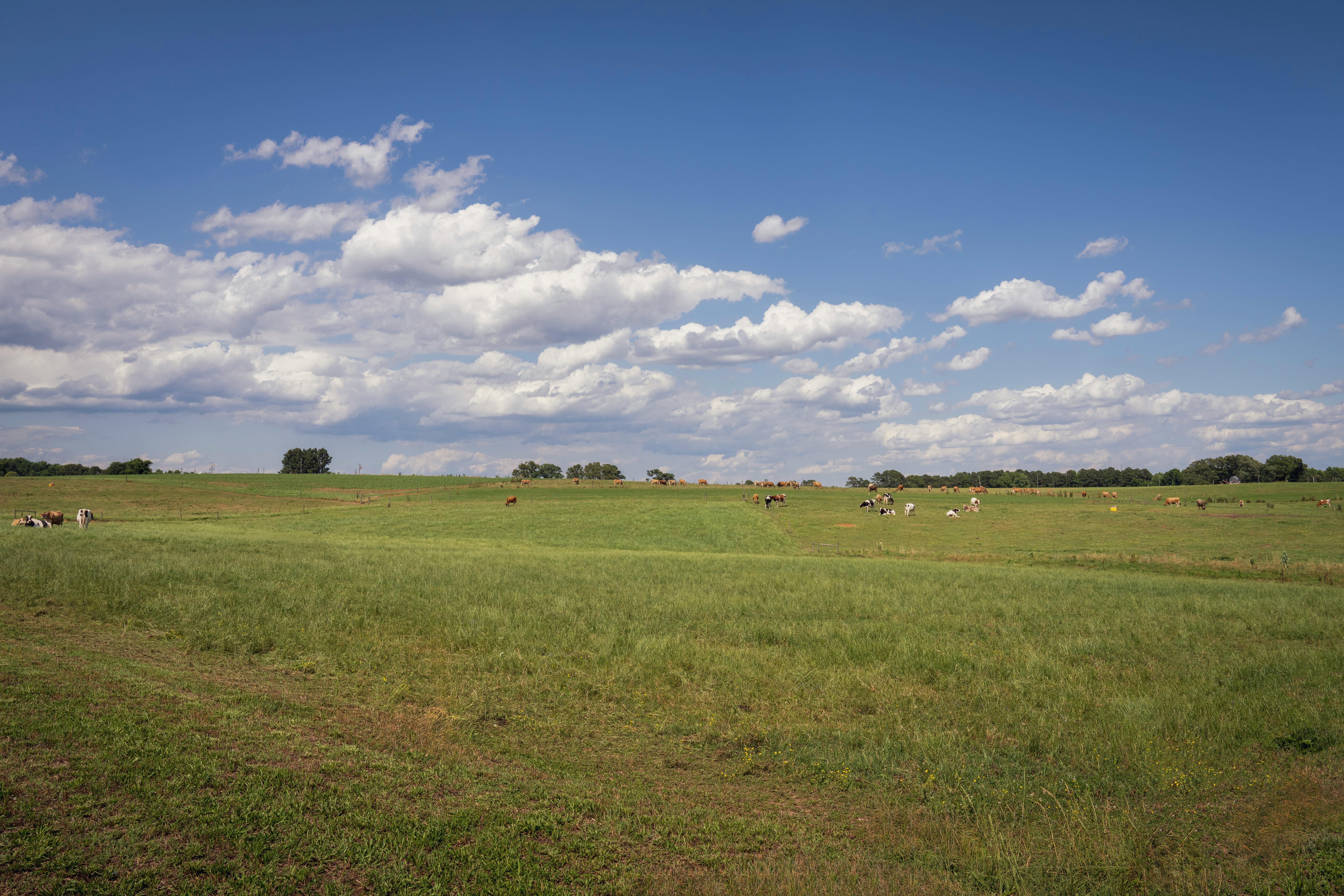 Photo Of Field During Daytime · Free Stock Photo