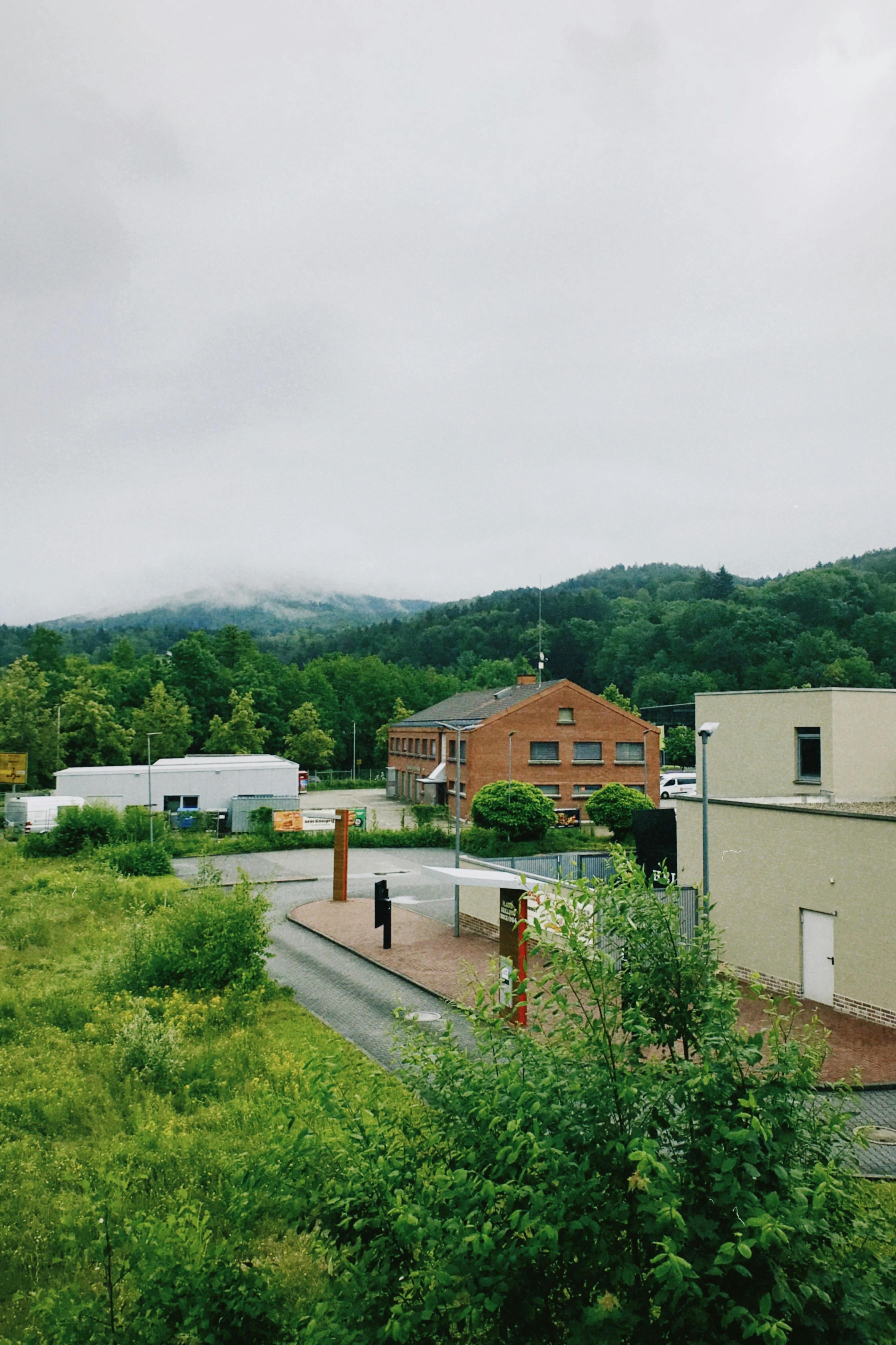 Cloud Forest Photos, Download The BEST Free Cloud Forest Stock Photos ...