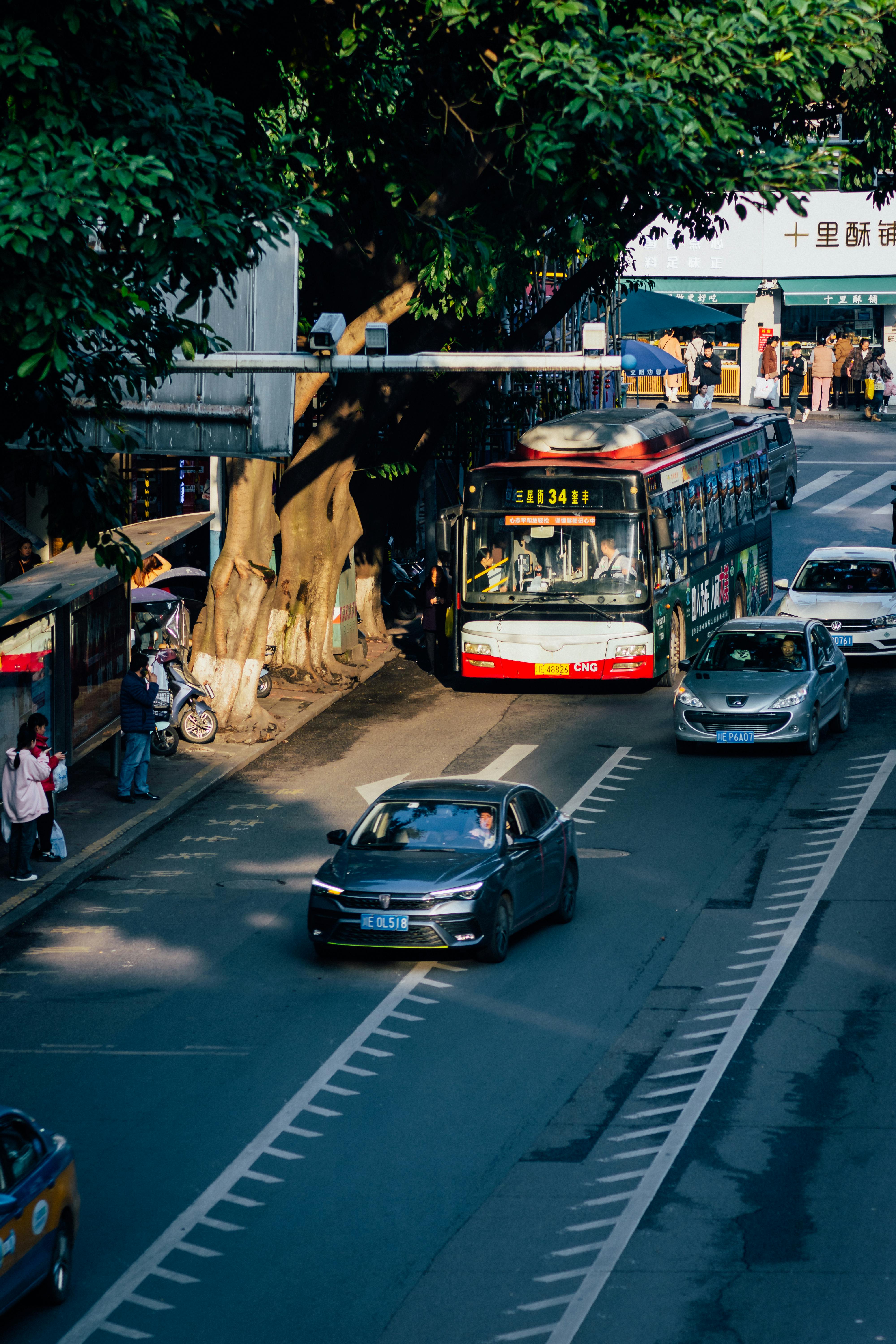 Cars and Bus on Street · Free Stock Photo