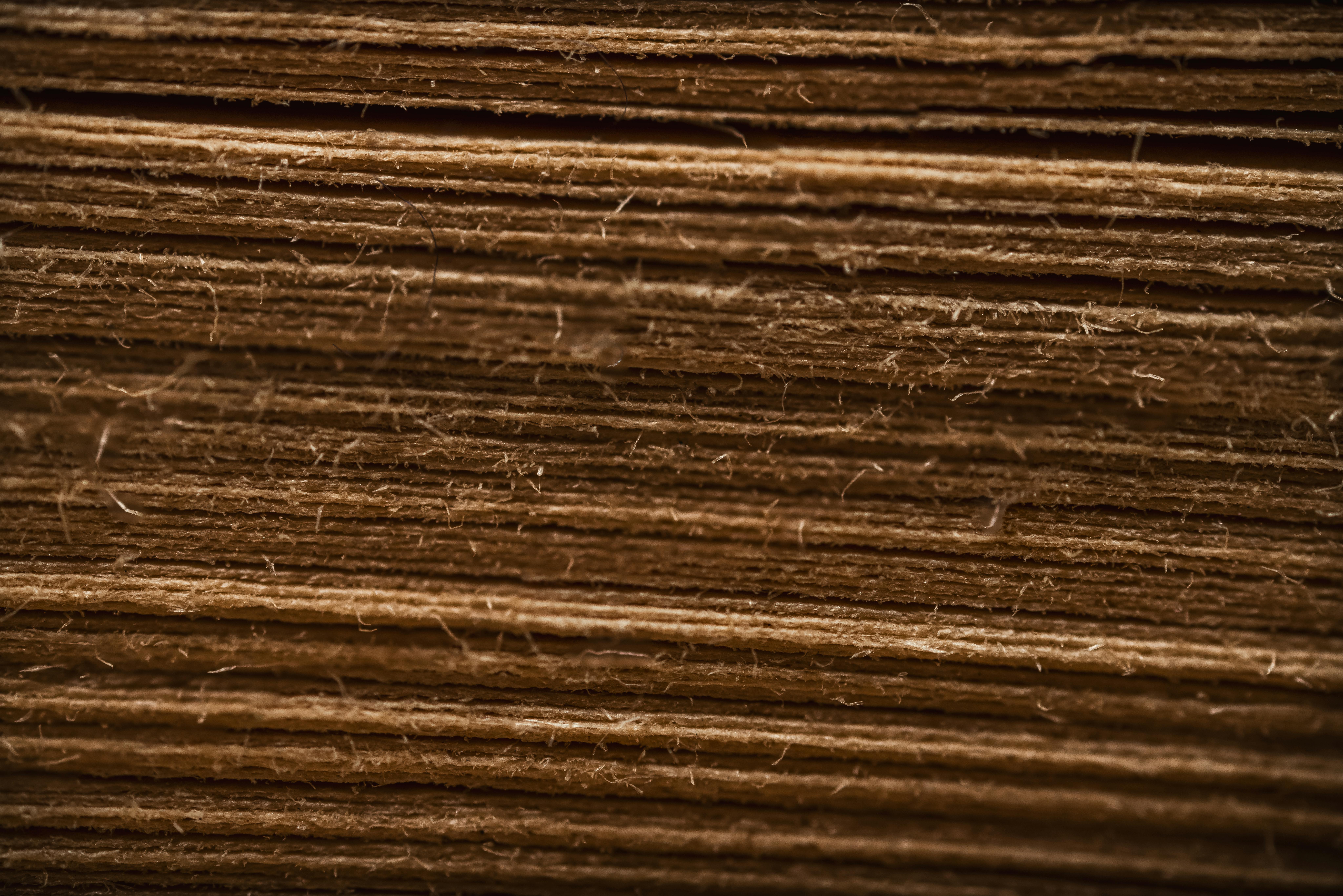 Travis Rupert - 사진