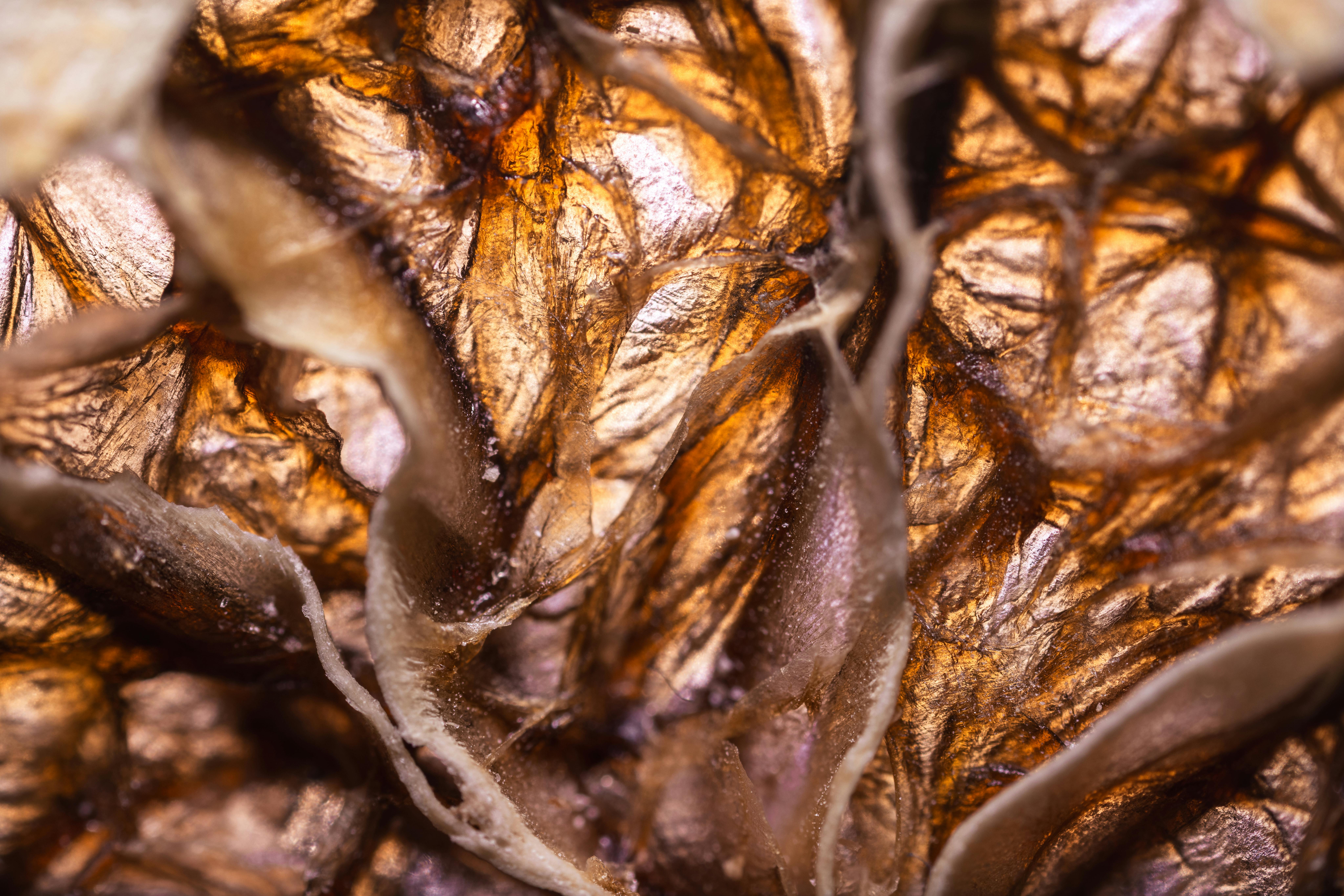 Travis Rupert - 사진