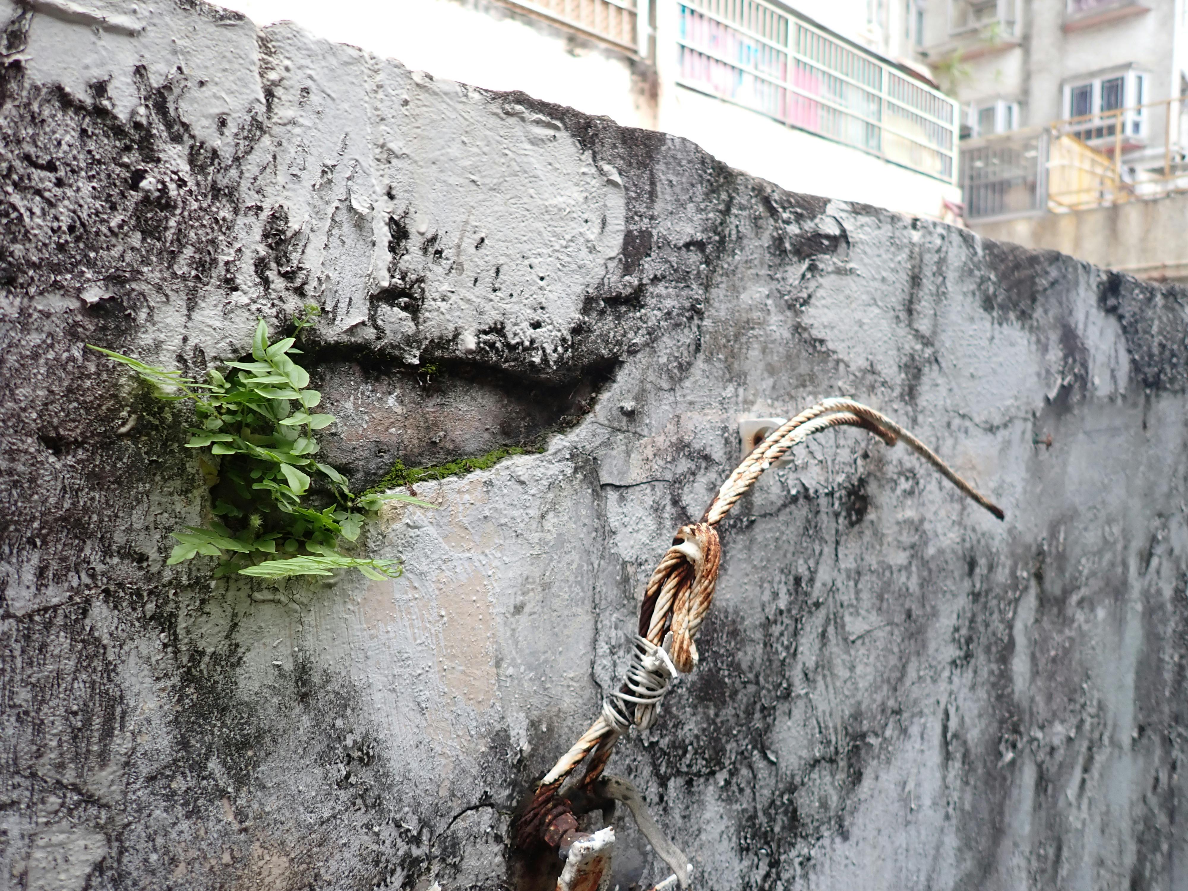 terry narcissan tsui - Fotografía