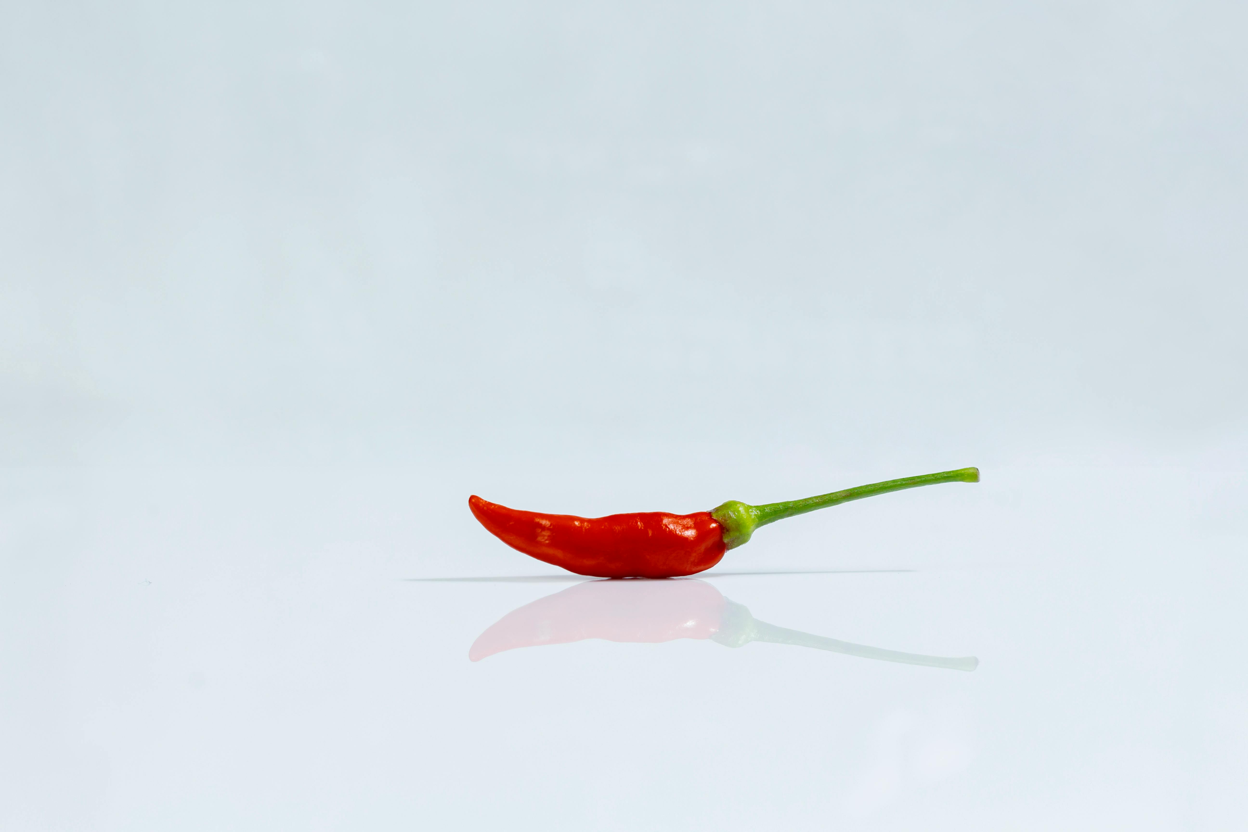 Single Chili Pepper · Free Stock Photo