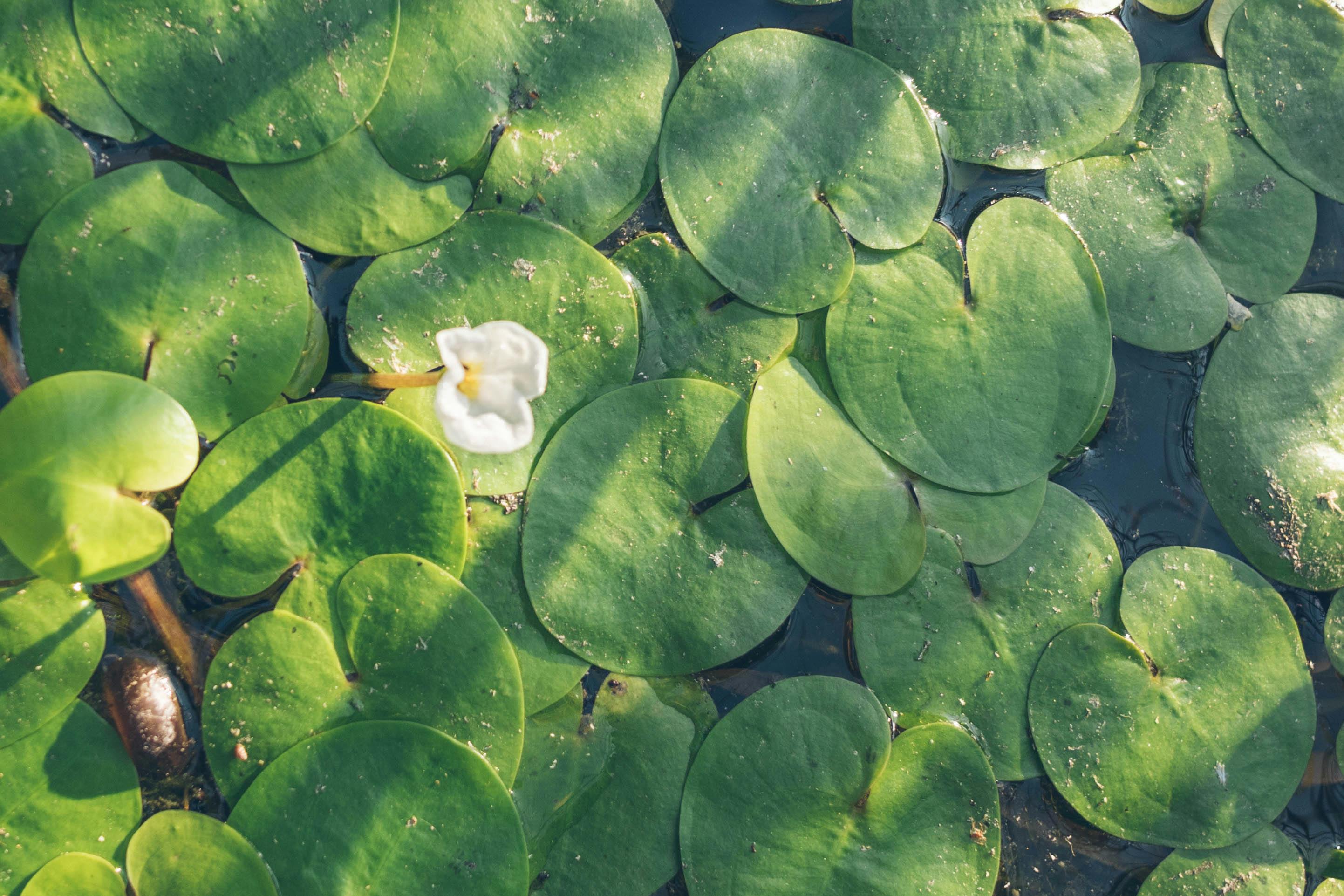 jamie patterson – Fotografia