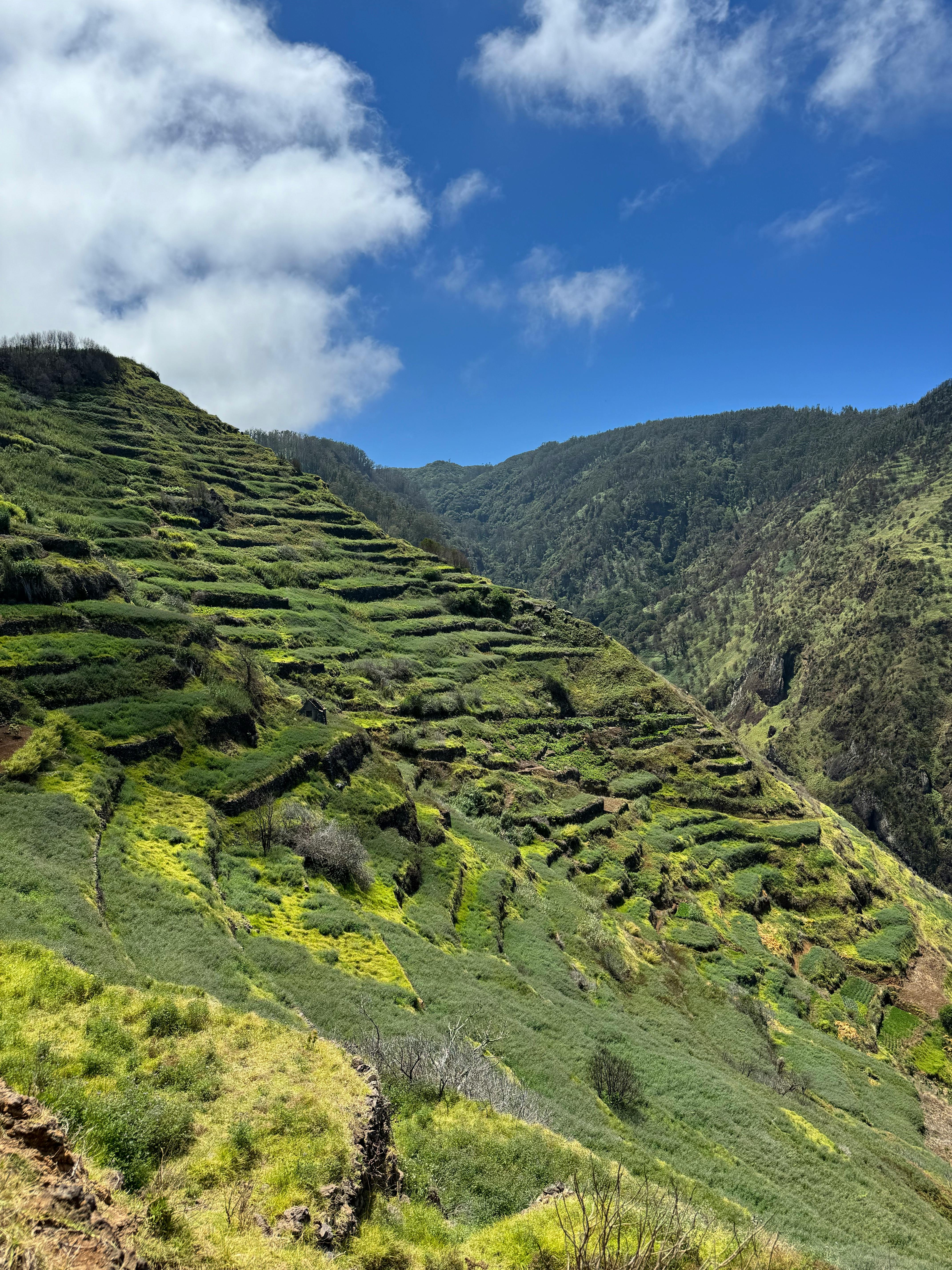 Nadia Russu - Fotografía