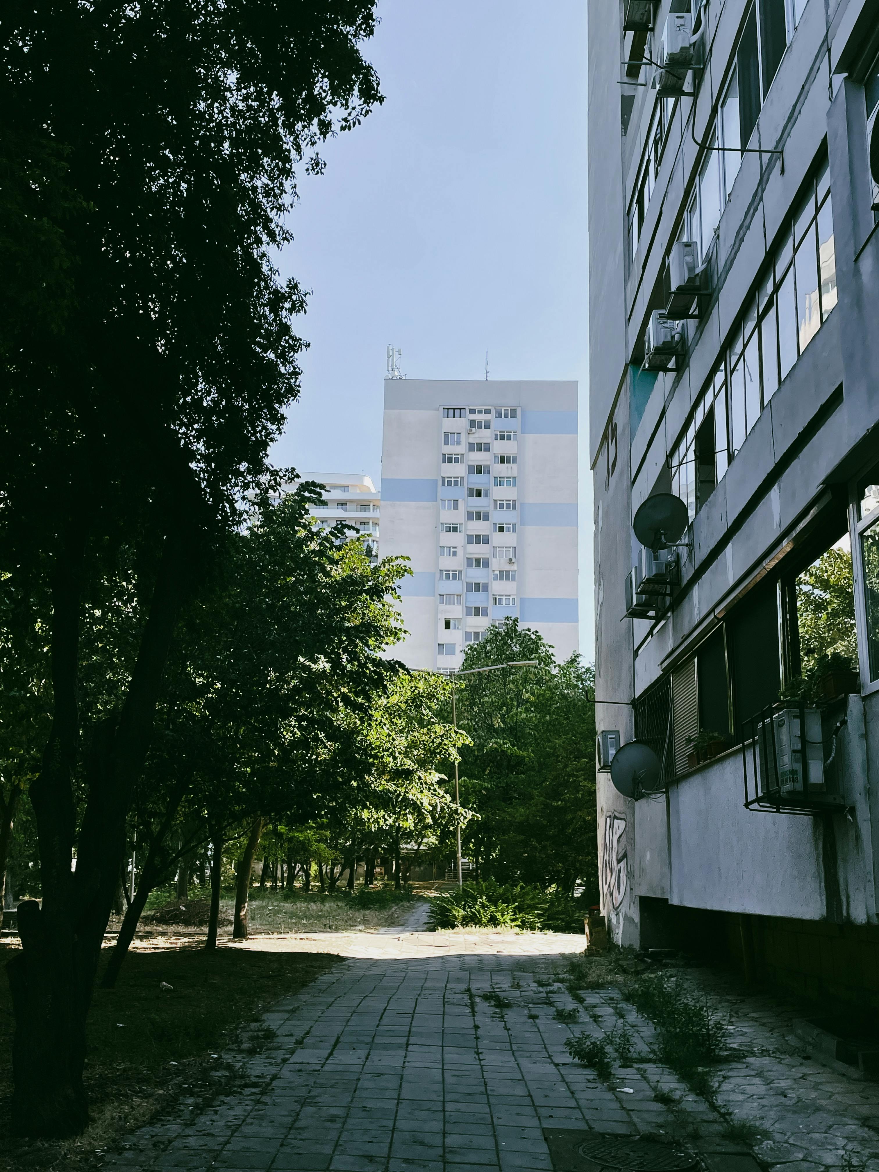 Ivan Georgiev - 사진