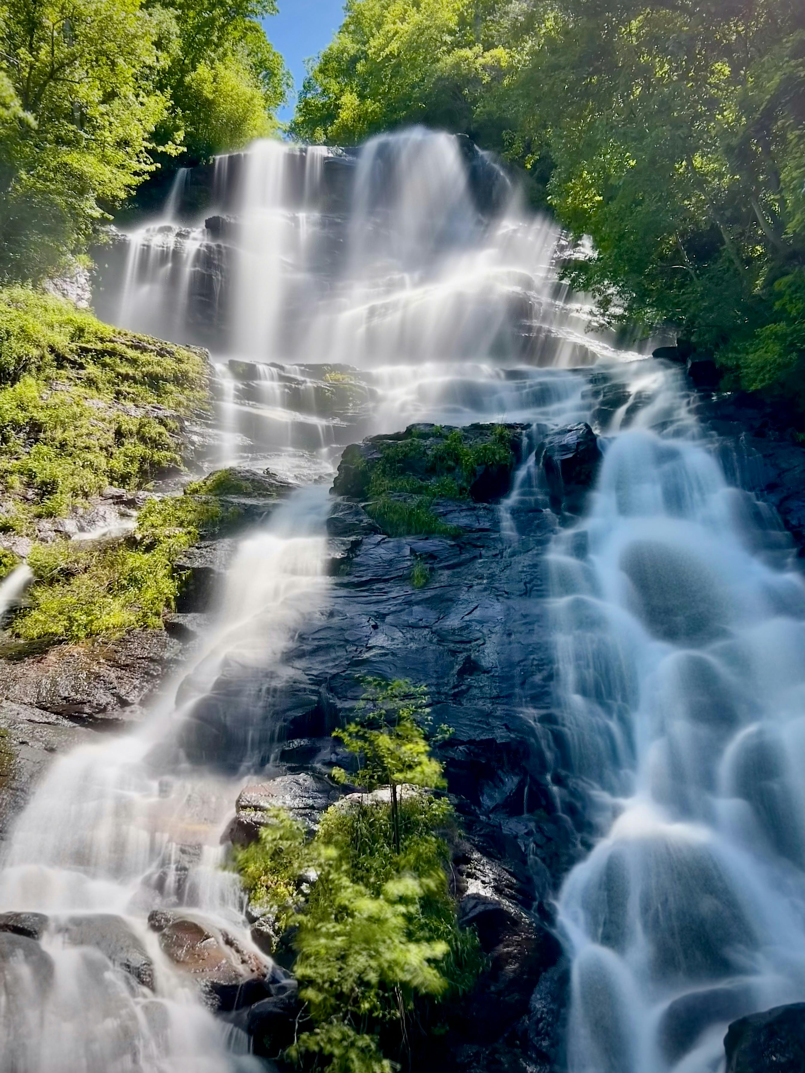 A waterfall is surrounded by trees and green grass · Free Stock Photo