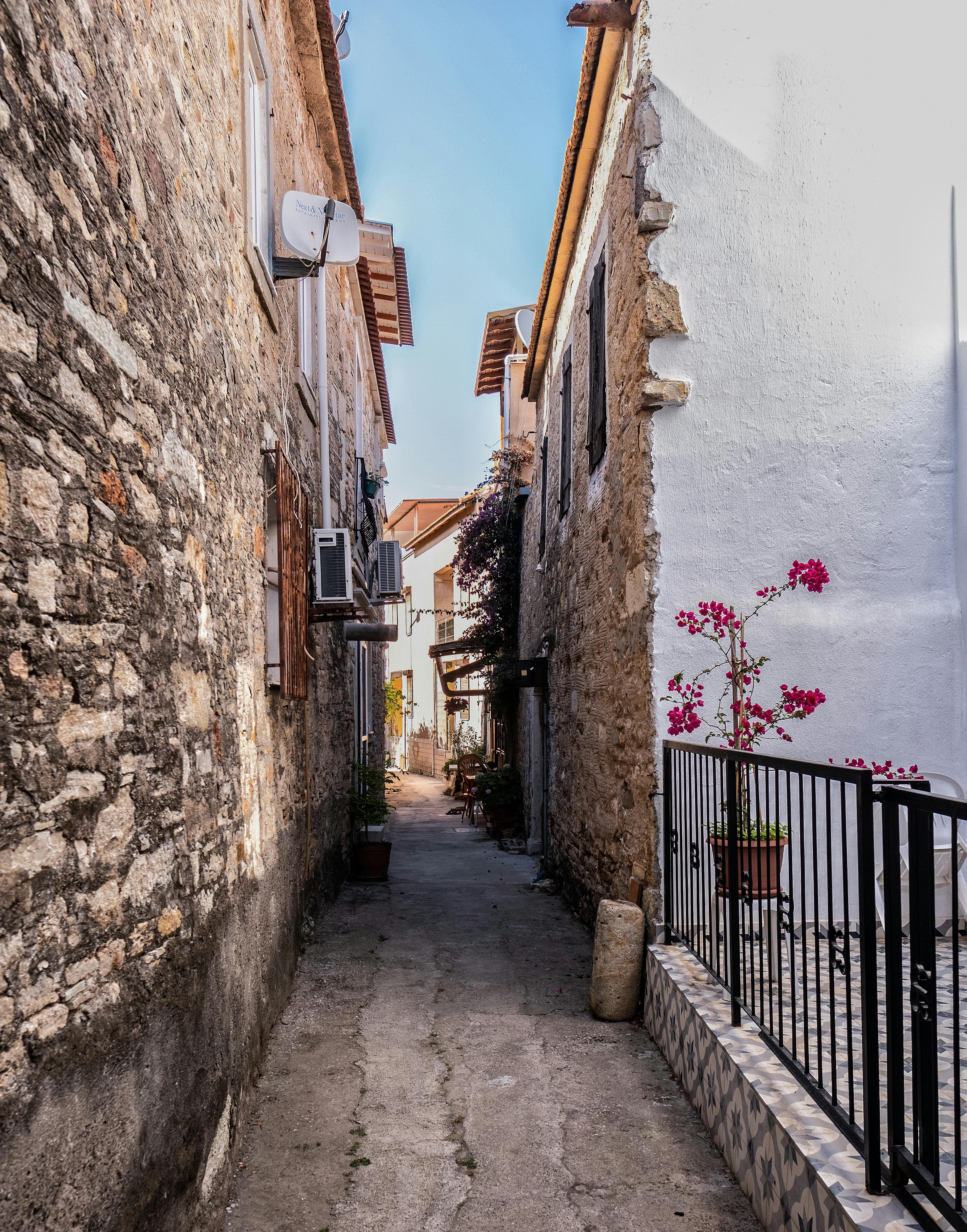 Foto Foca Photos, Download The BEST Free Foto Foca Stock Photos & HD Images