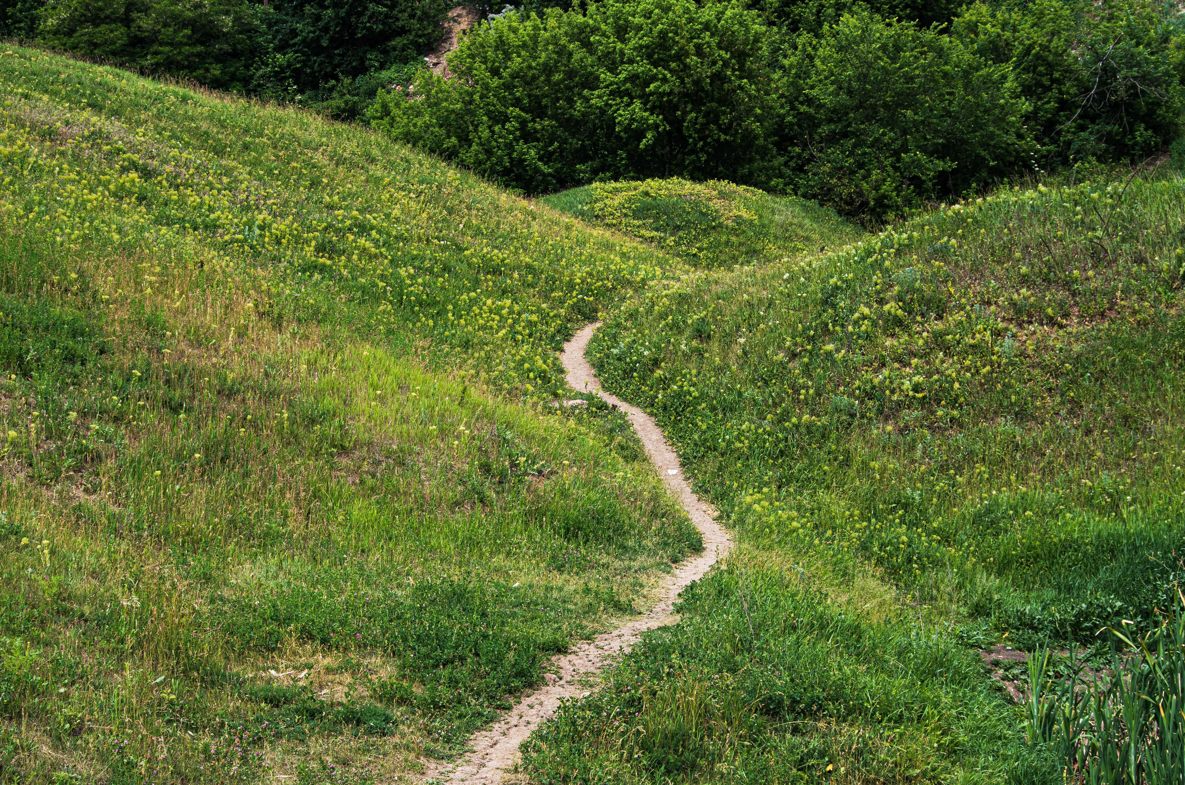Bradlaugh Fields of Northampton · Free Stock Photo