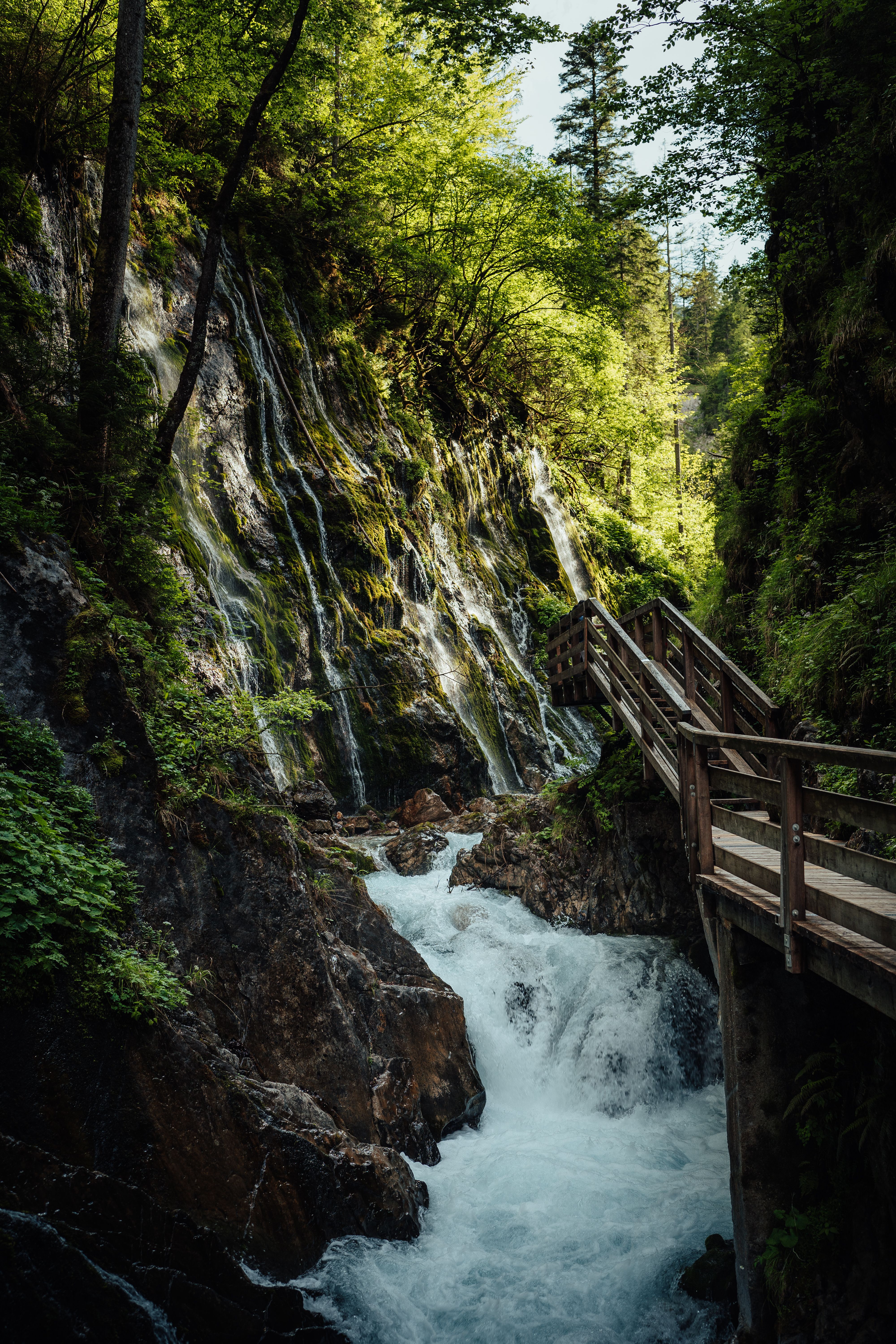 A wooden bridge over a stream in the woods · Free Stock Photo