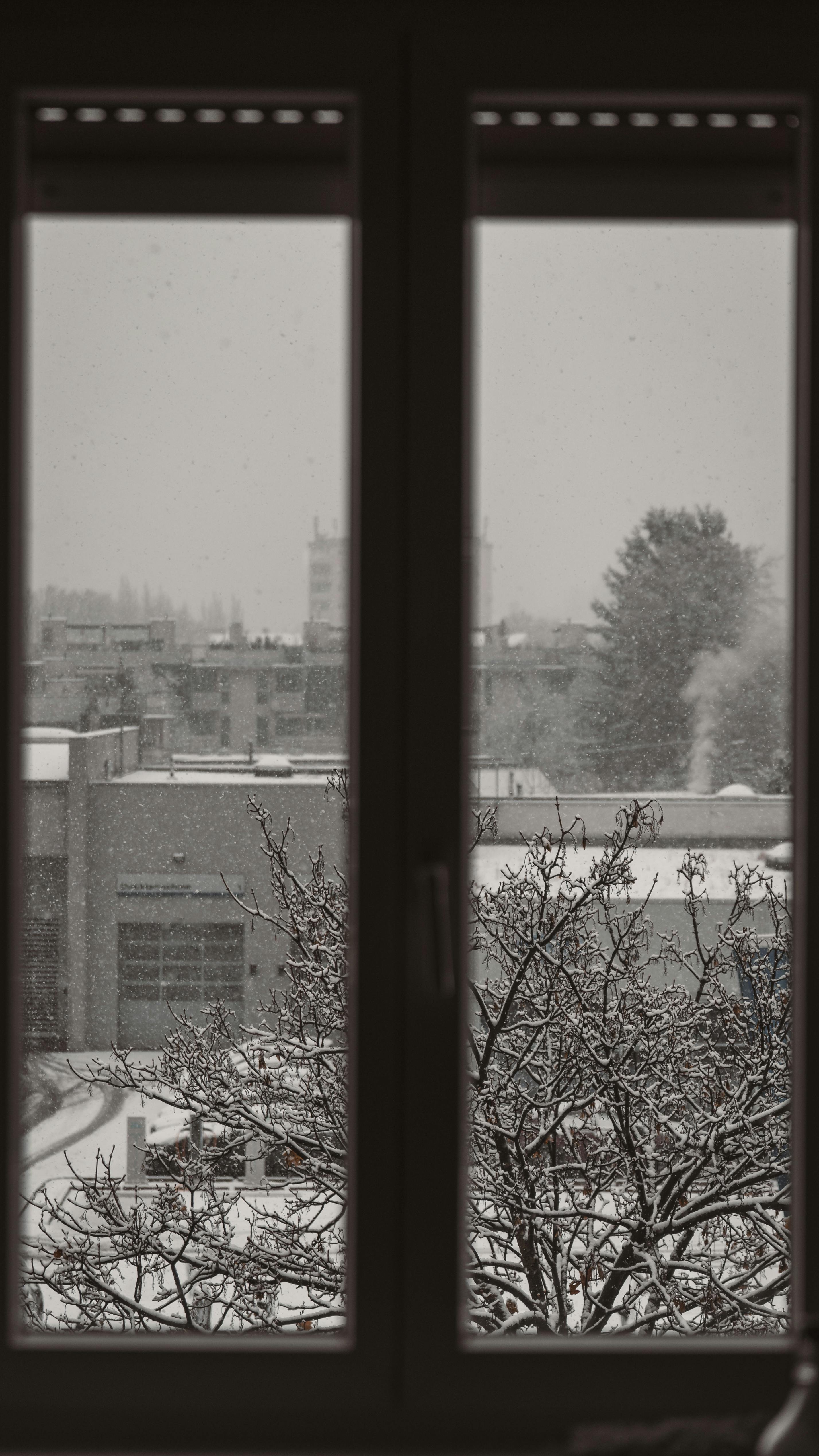 Sabah Photos, Download The BEST Free Sabah Stock Photos & HD Images