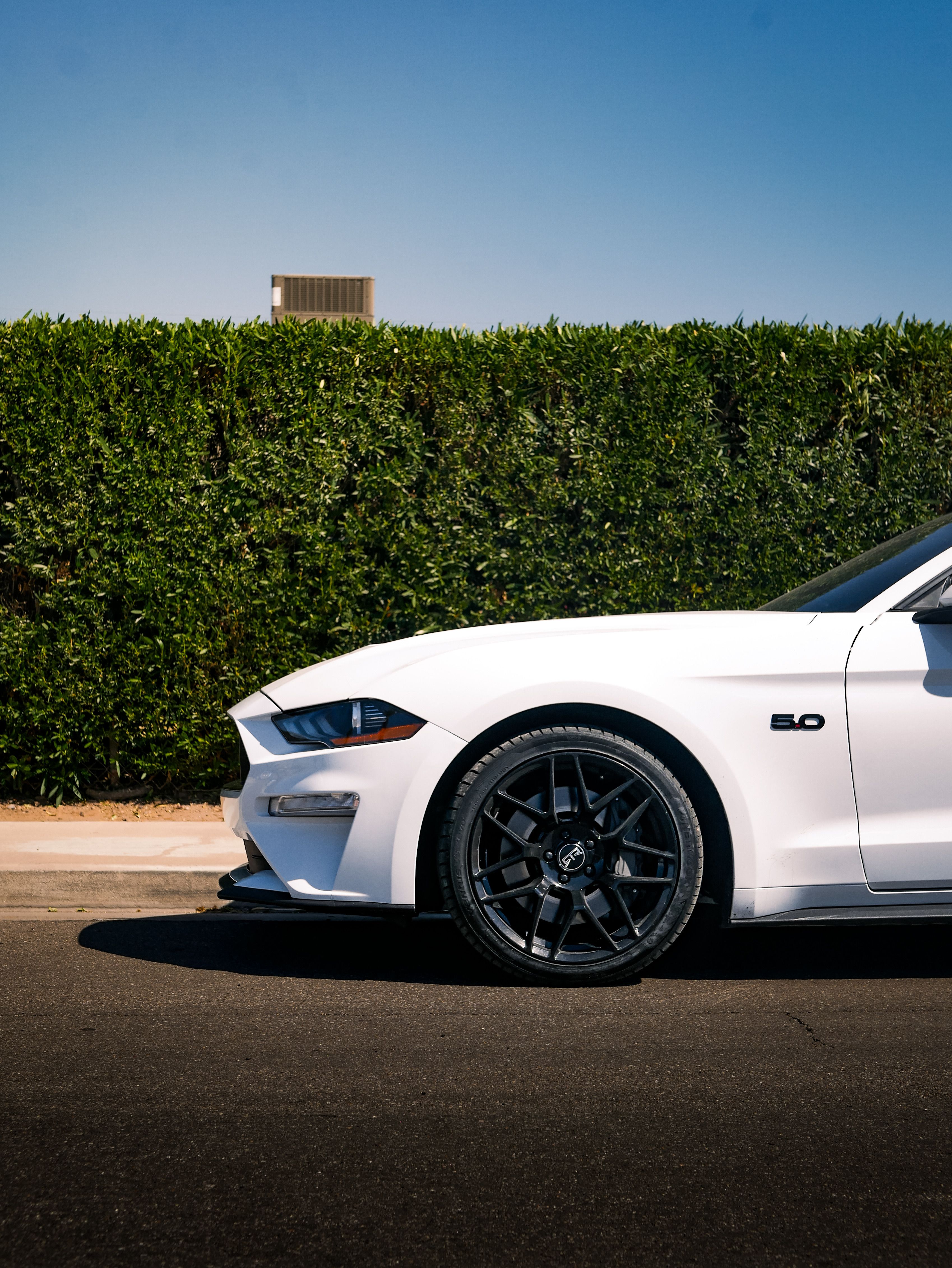 Front of White Ford Mustang on Street · Free Stock Photo