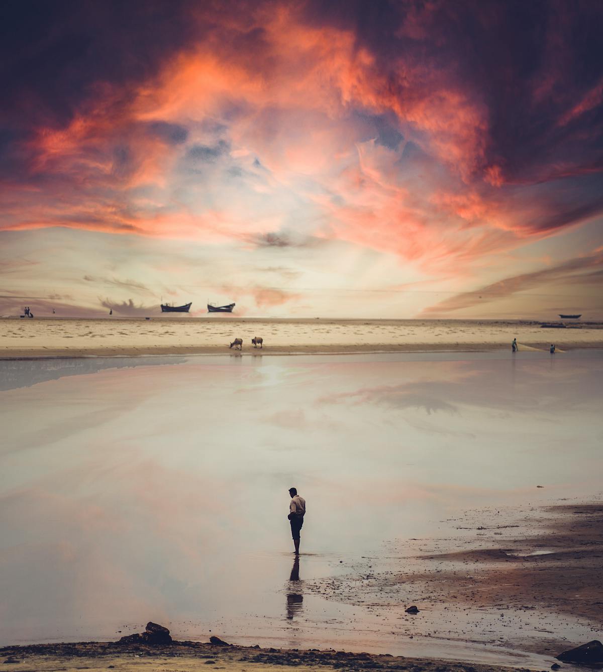 People In Sunset Photos, Download The BEST Free People In Sunset Stock ...