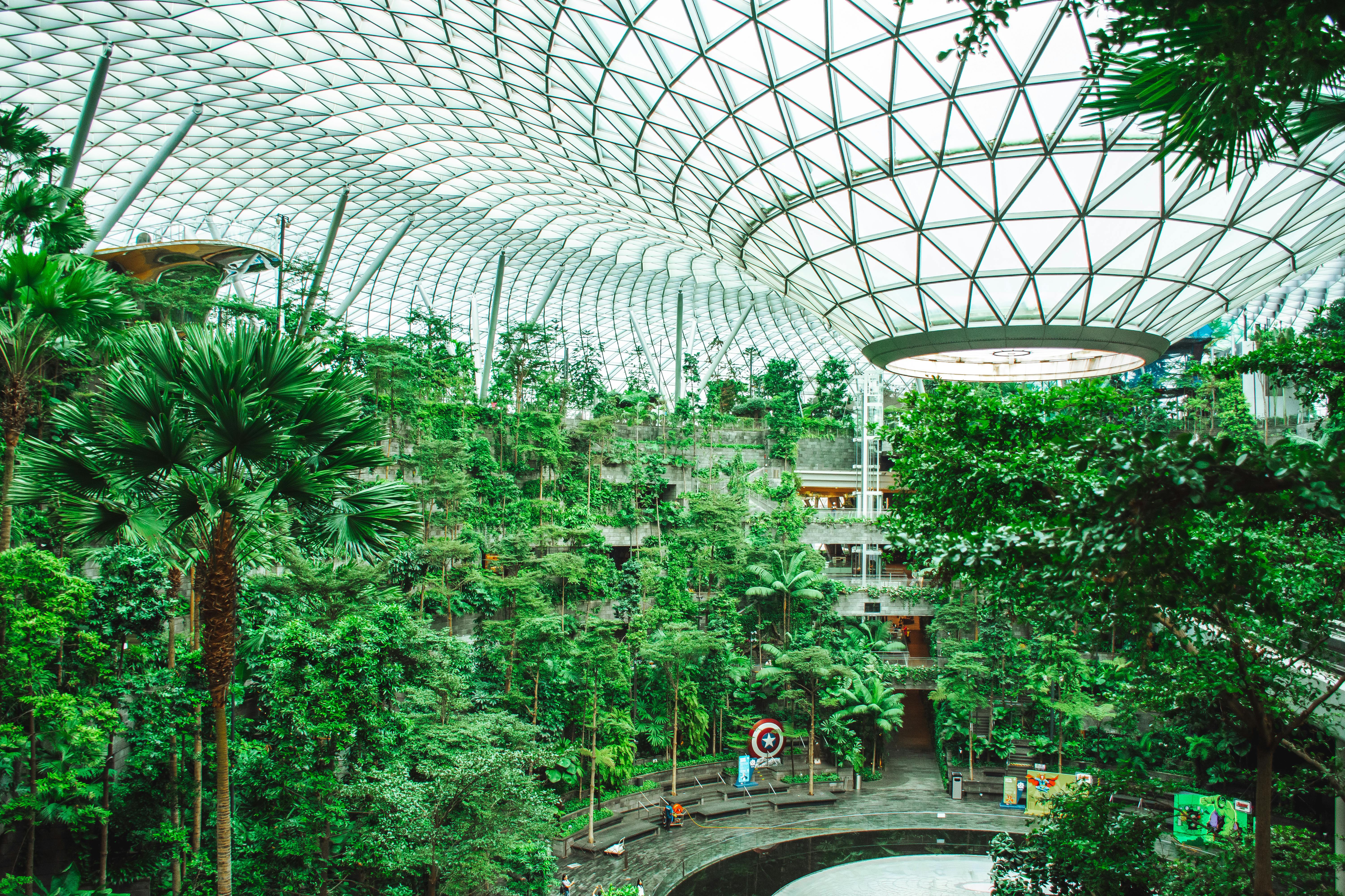 Shiseido Forest Valley Indoor Garden in Jewel Changi Airport · Free ...