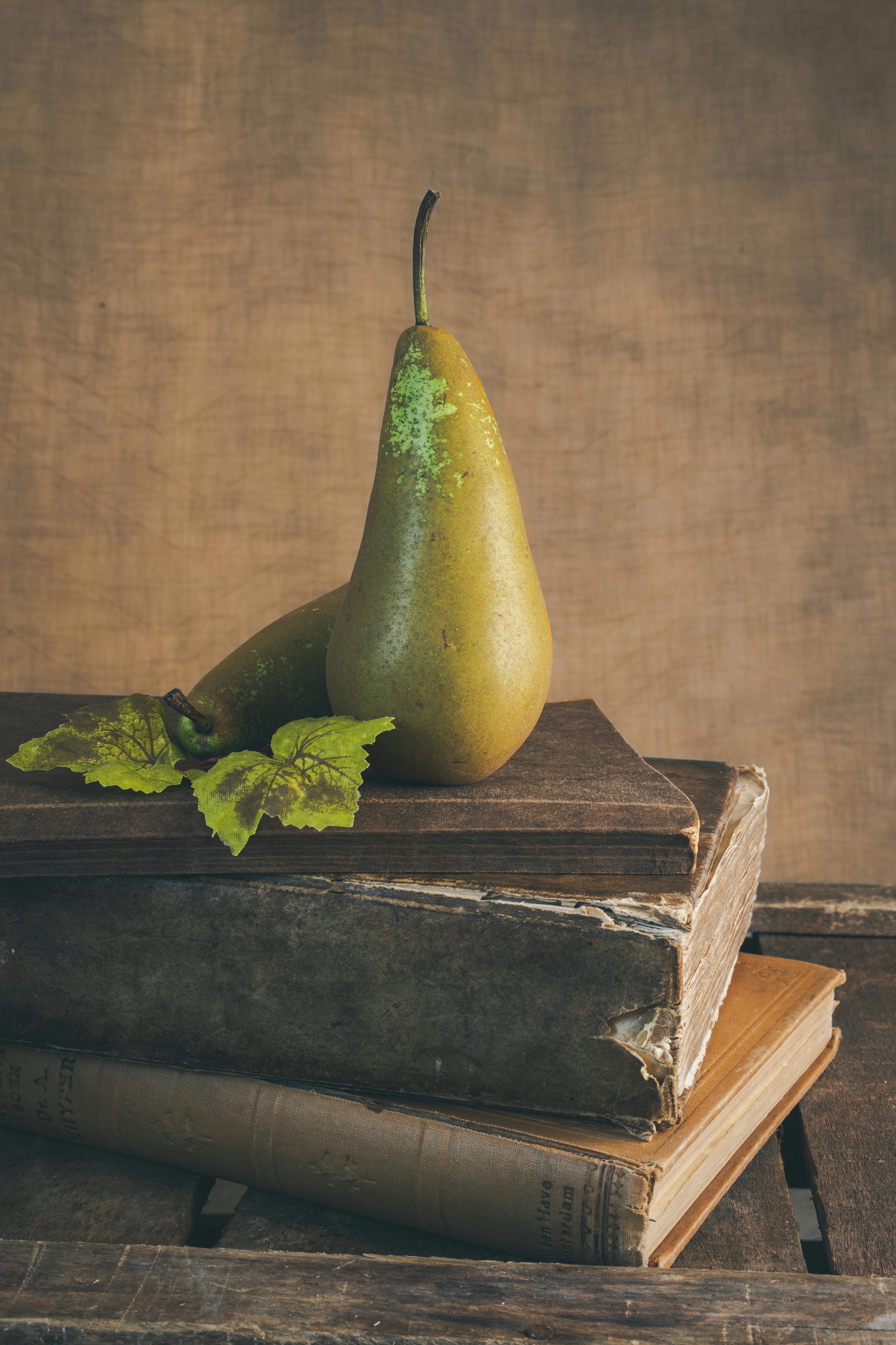 Basic Books Photos, Download The BEST Free Basic Books Stock Photos ...