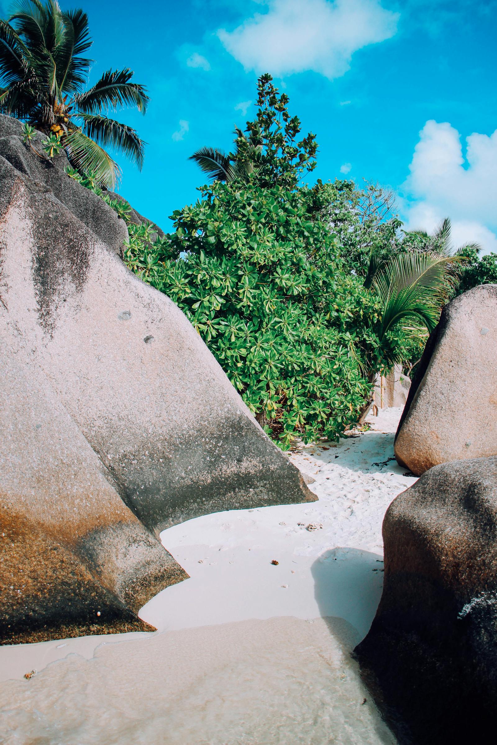 Lotos Beach Photos, Download The BEST Free Lotos Beach Stock Photos ...