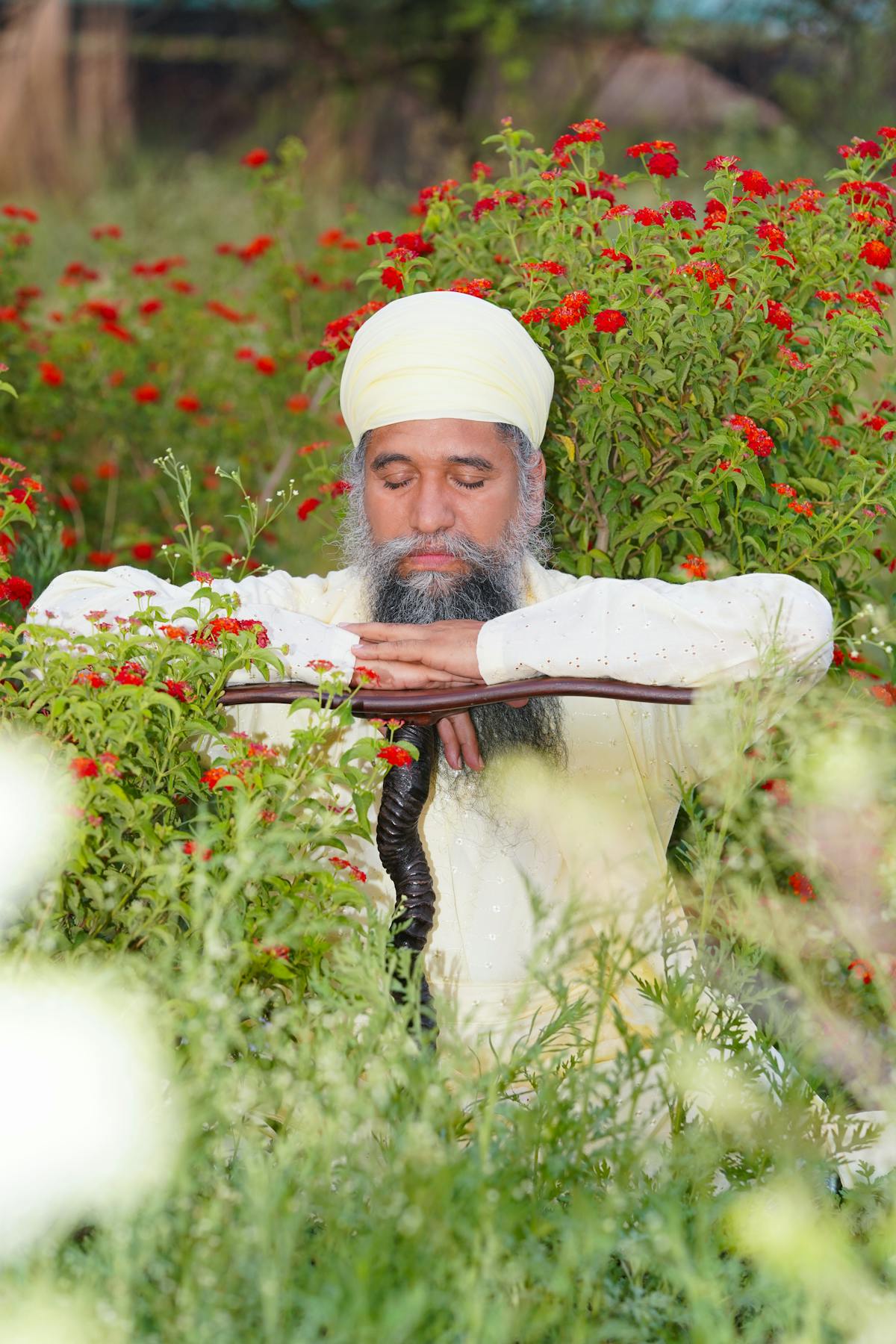 Sai Baba Photos, Download The BEST Free Sai Baba Stock Photos & HD Images