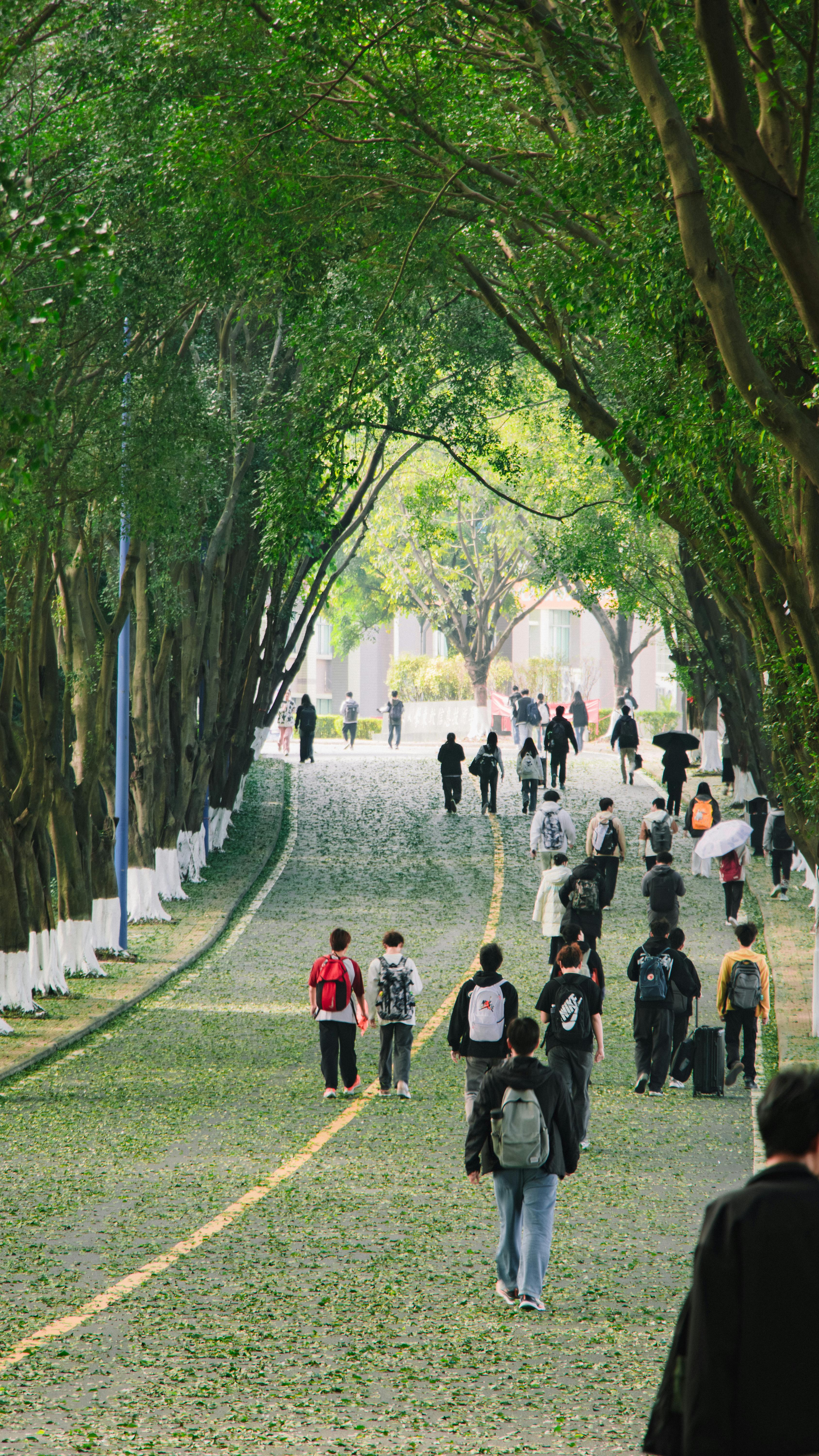 Students Hiring Photos, Download The BEST Free Students Hiring Stock ...