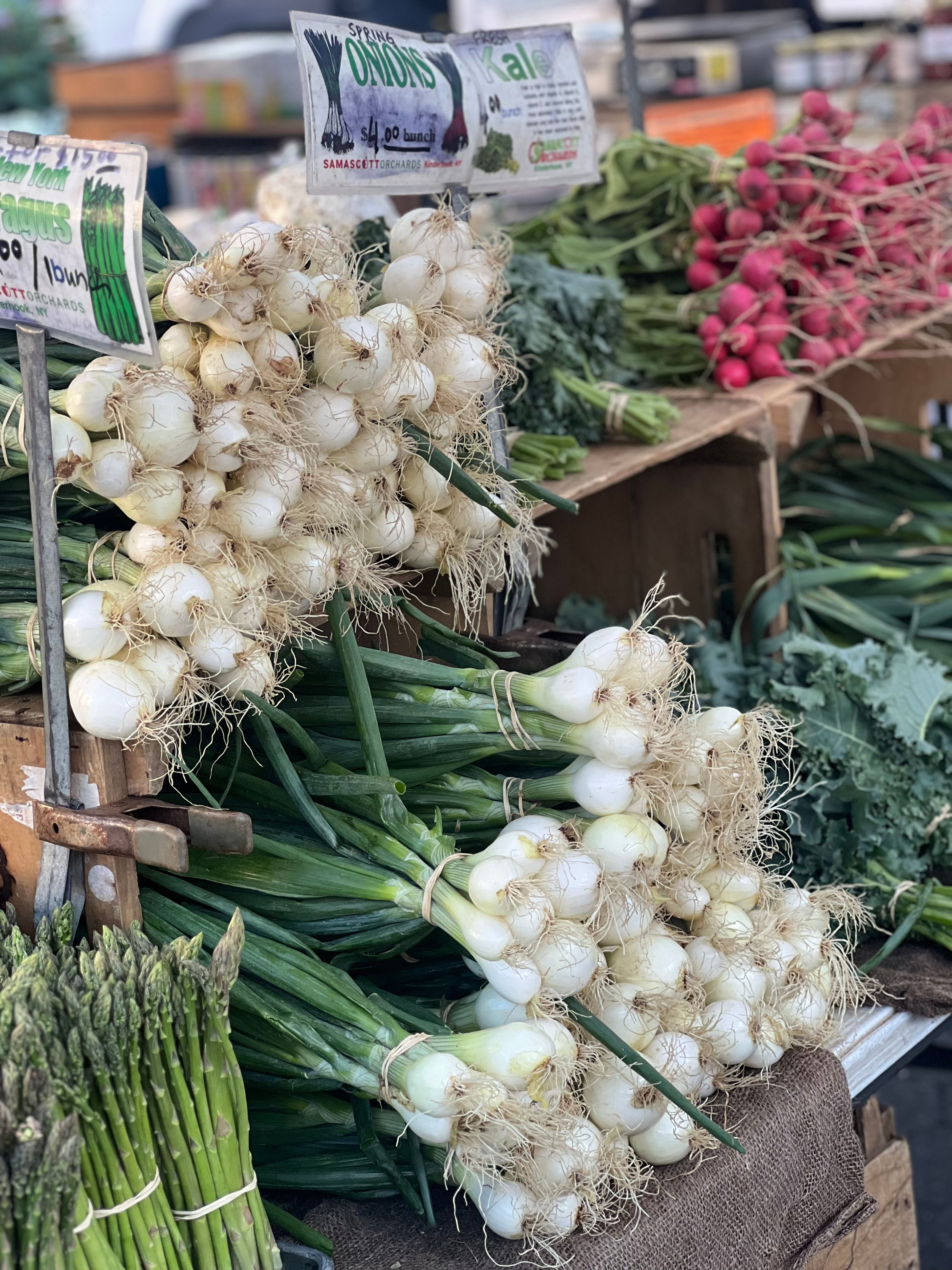 Spring Onion and Radish on Market · Free Stock Photo