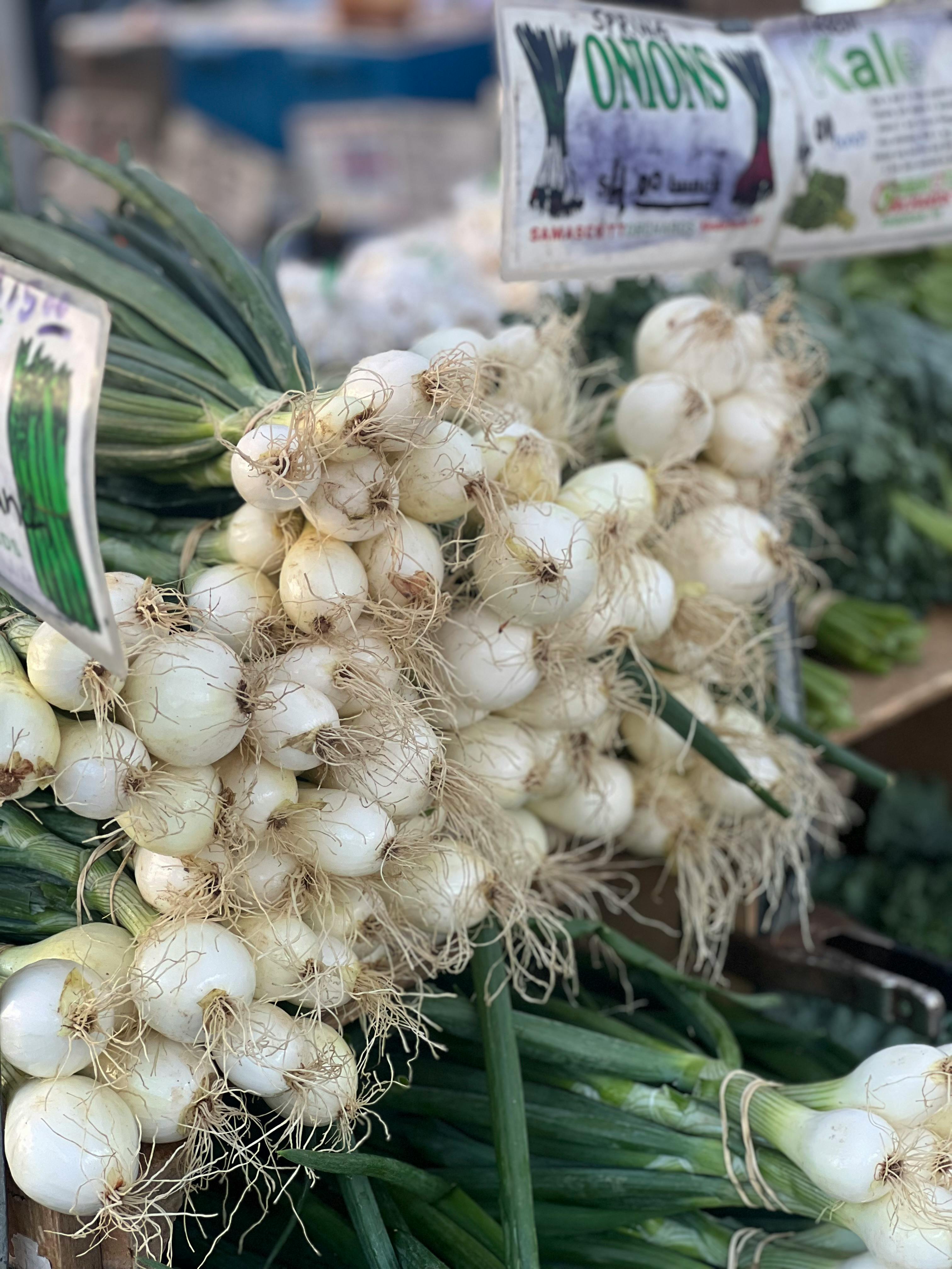 Onions in a Market · Free Stock Photo