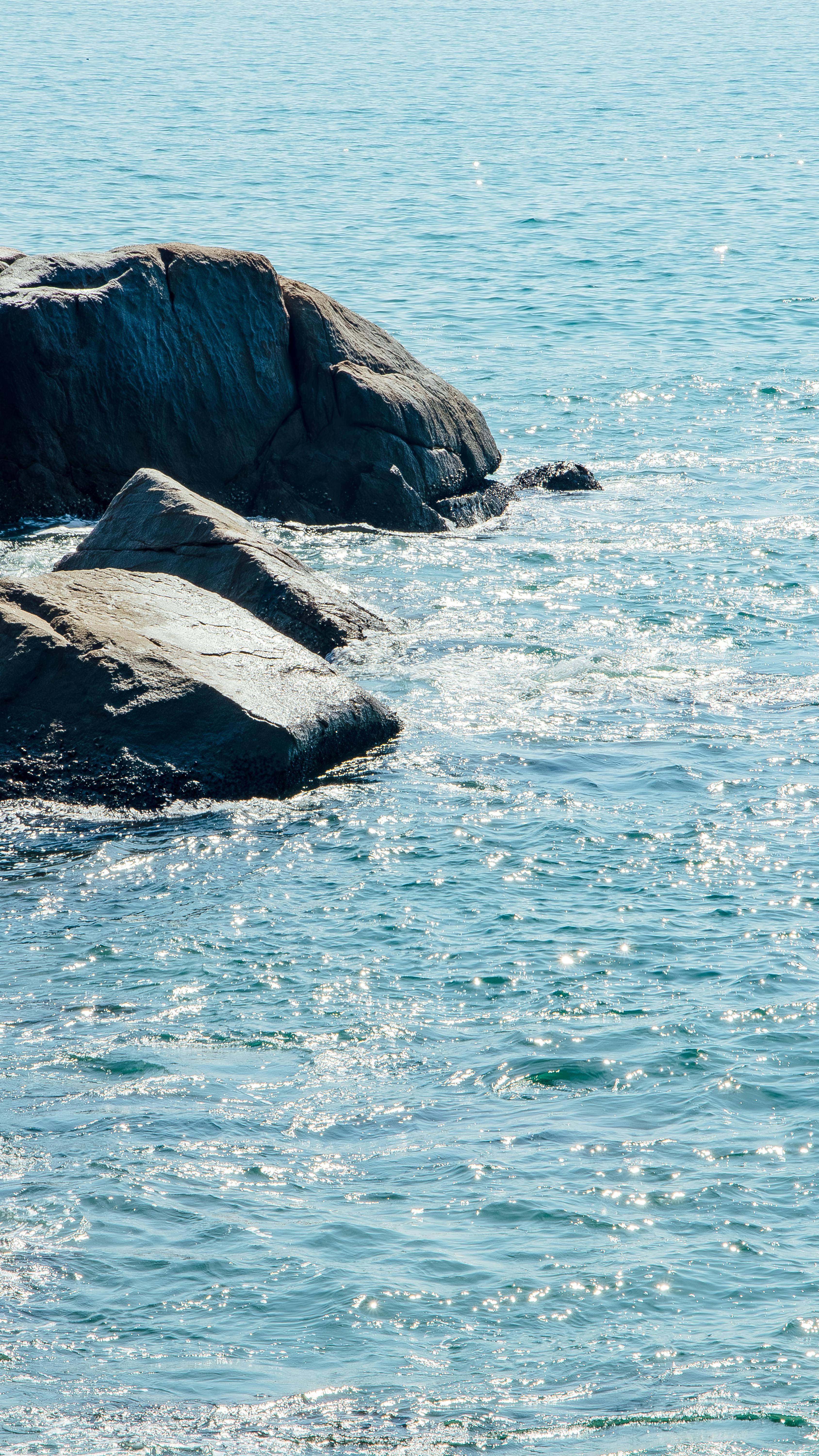 Sunshine Reflection Photos, Download The BEST Free Sunshine Reflection ...