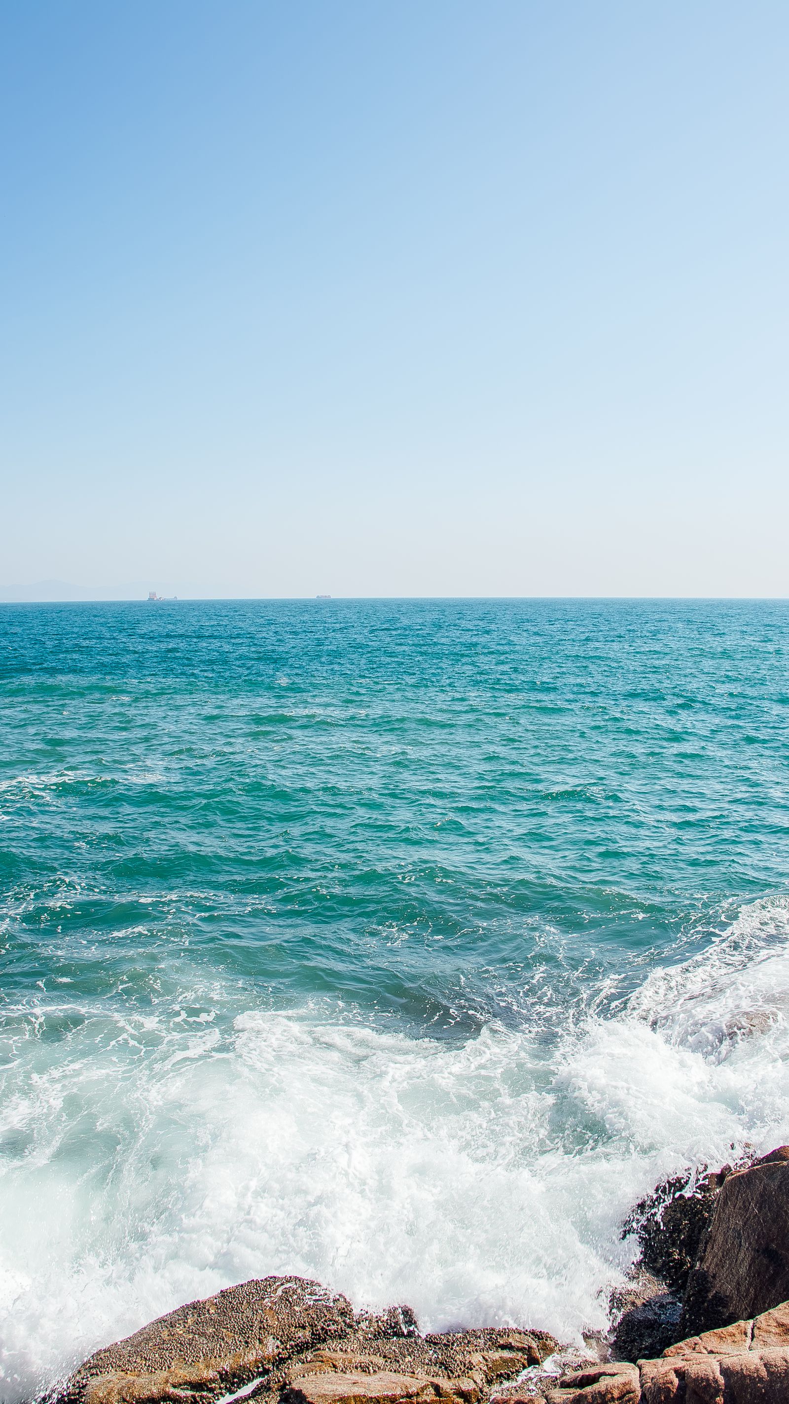 Wuthering Waves Photos, Download The BEST Free Wuthering Waves Stock ...
