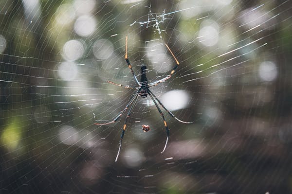 Web Studio Photos, Download The BEST Free Web Studio Stock Photos & HD ...