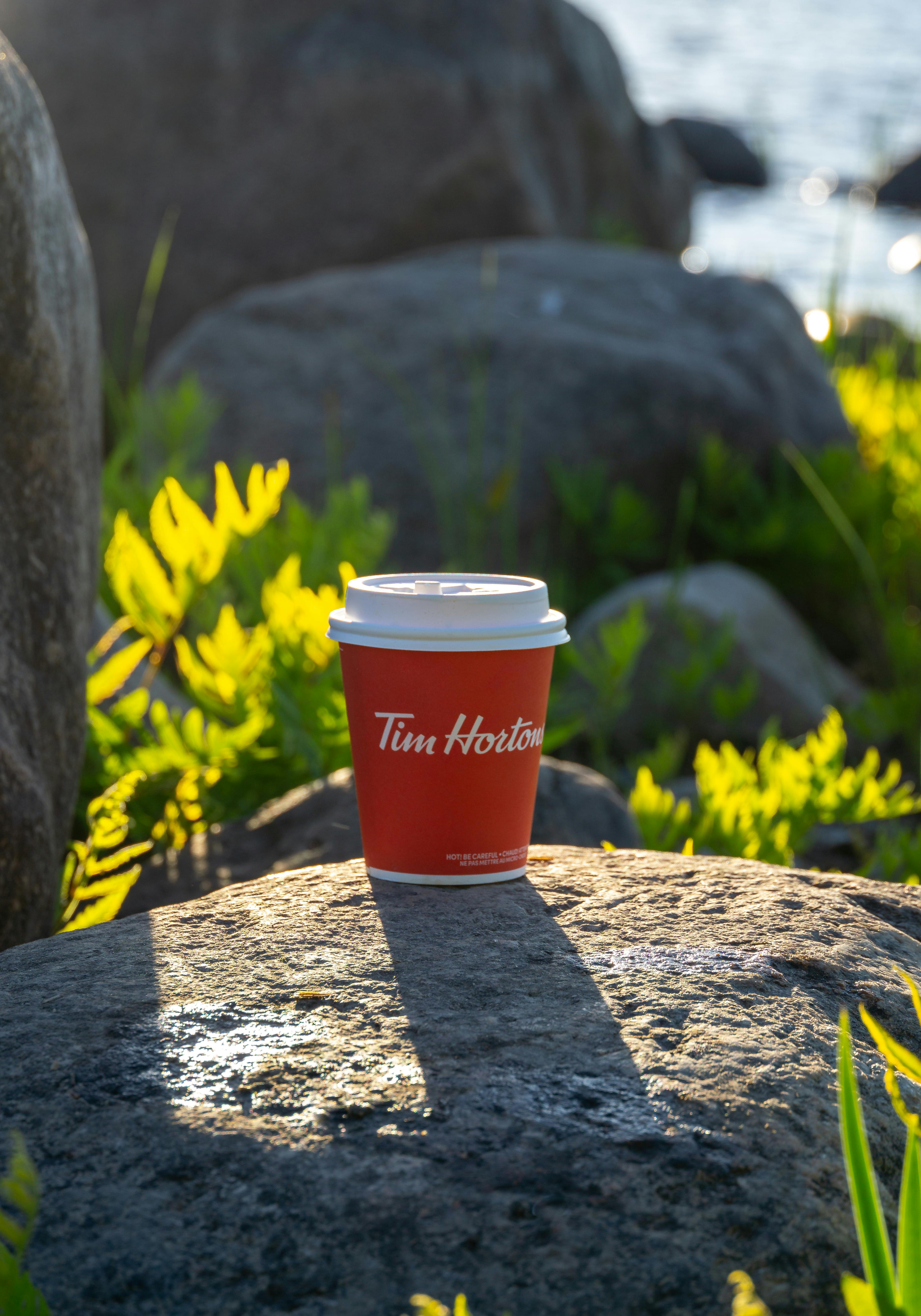 Cup of Tim Hortons Coffee on a Rock · Free Stock Photo