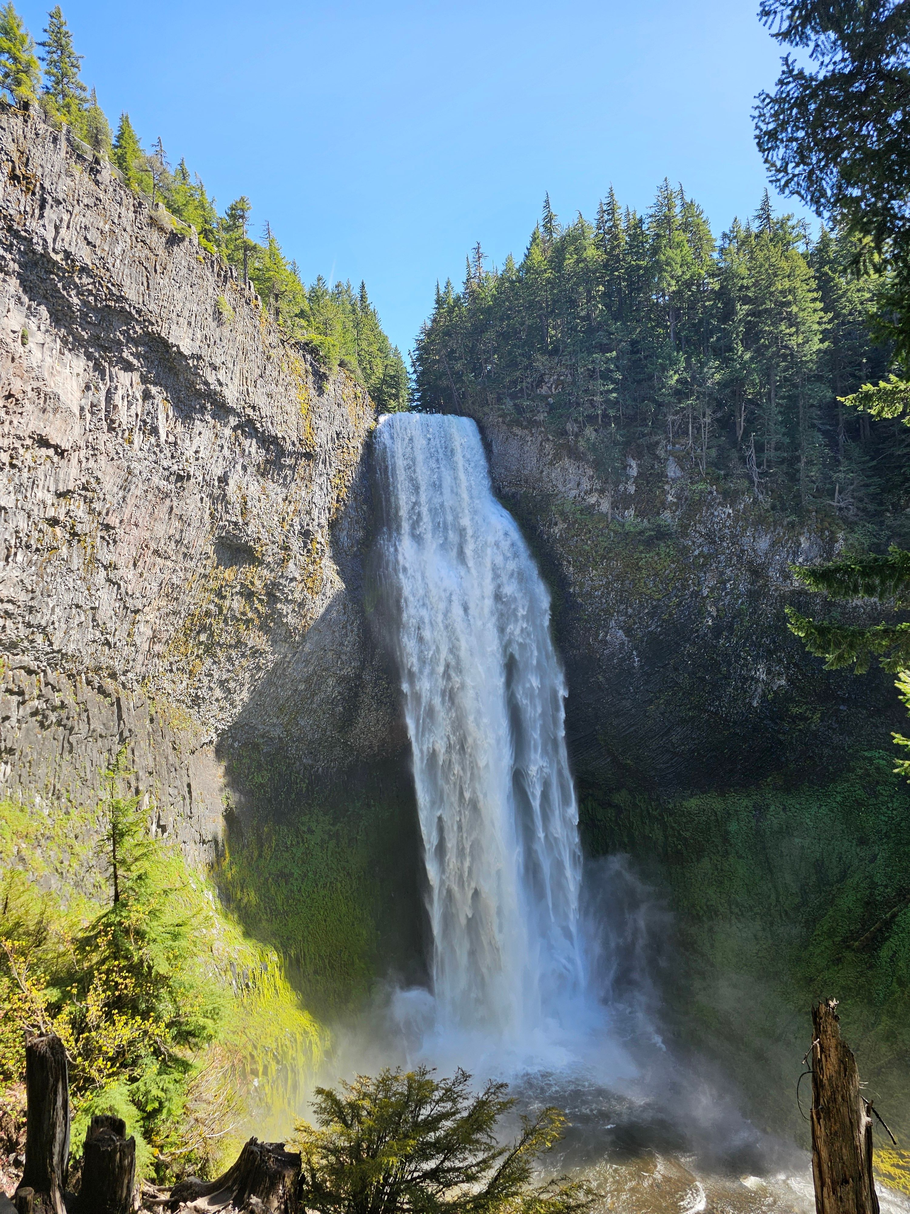 Salt Creek Falls in Oregon, USA · Free Stock Photo