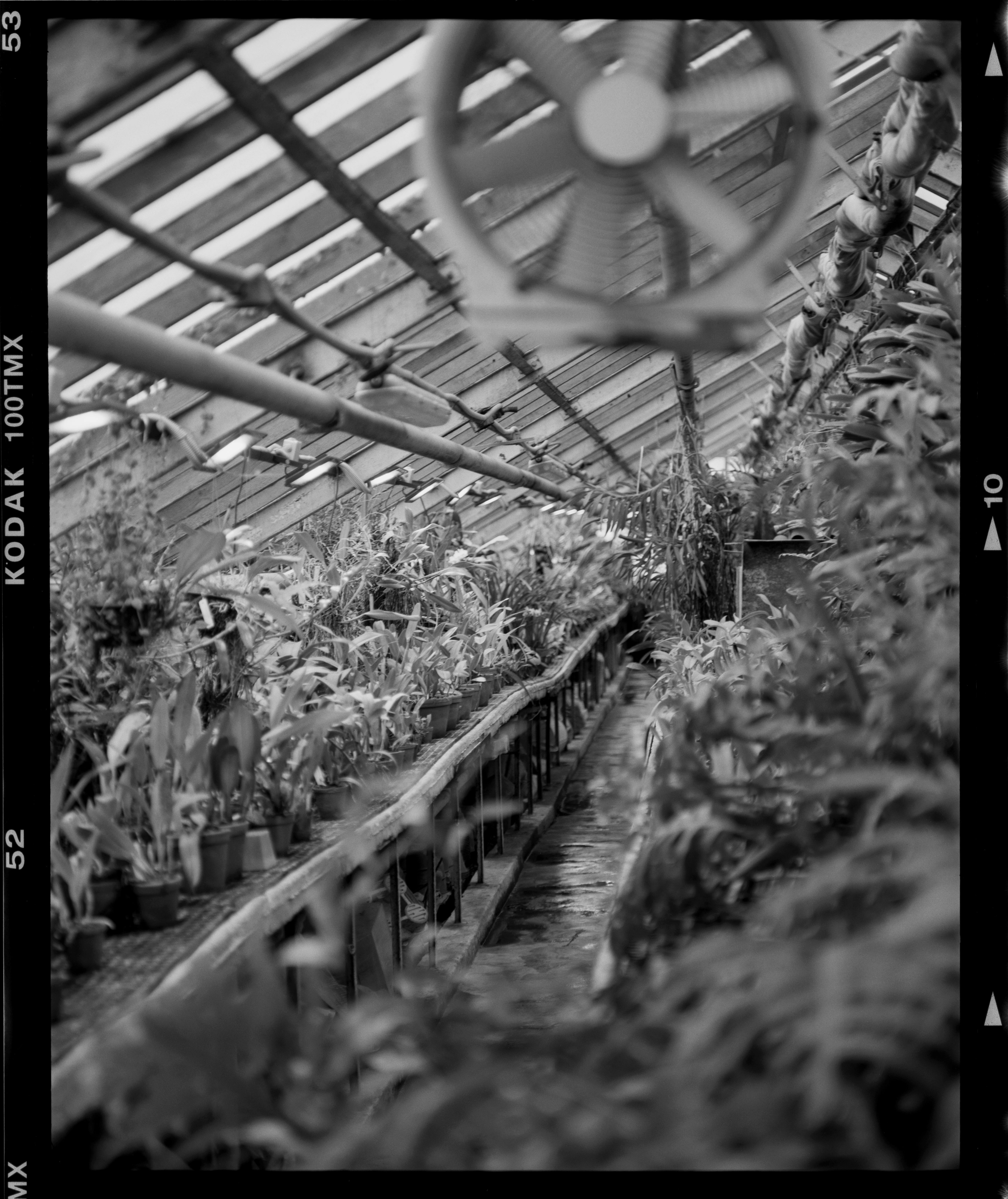 Cinegraph Photos, Download The BEST Free Cinegraph Stock Photos & HD Images