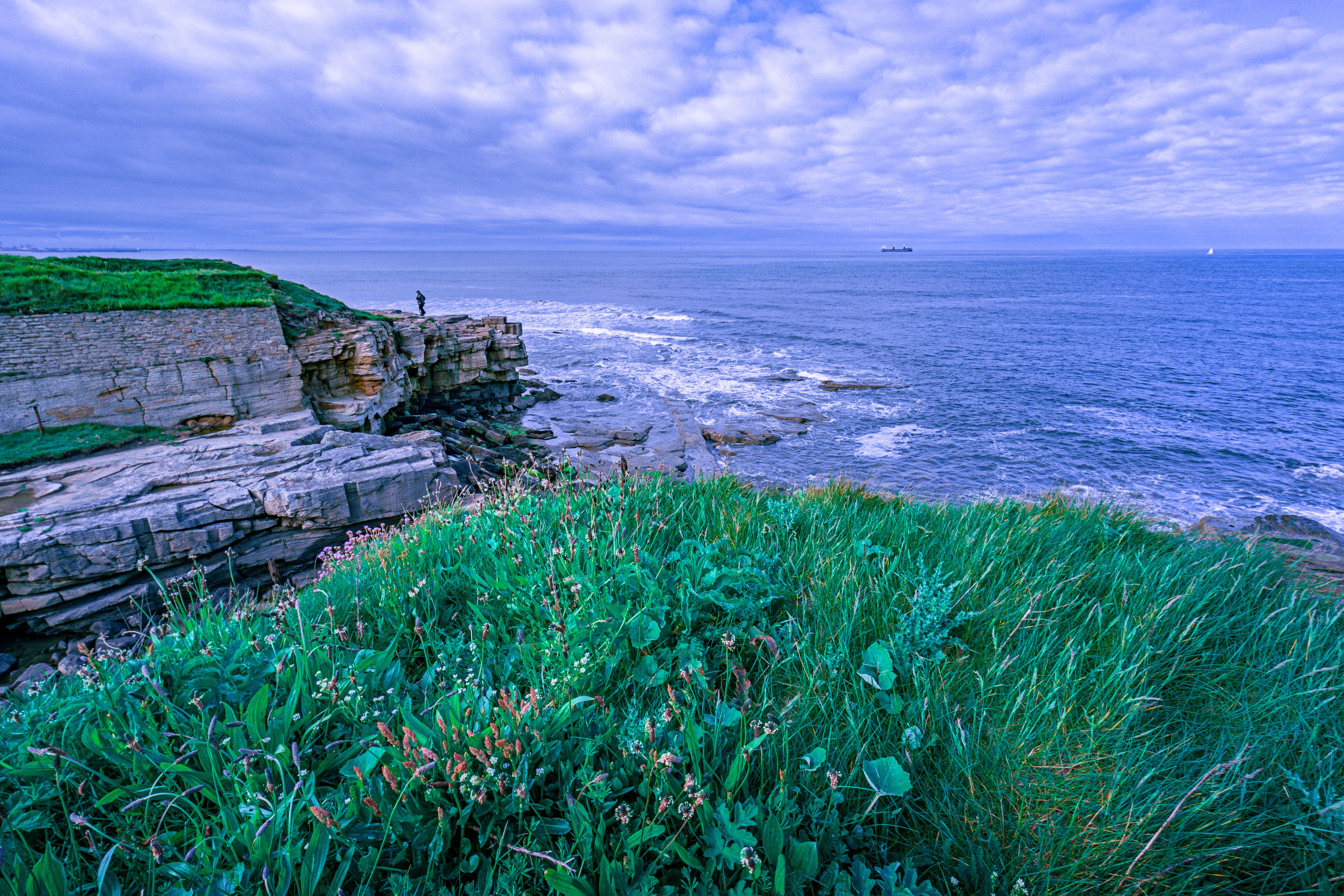 Cliffs by the Shore · Free Stock Photo