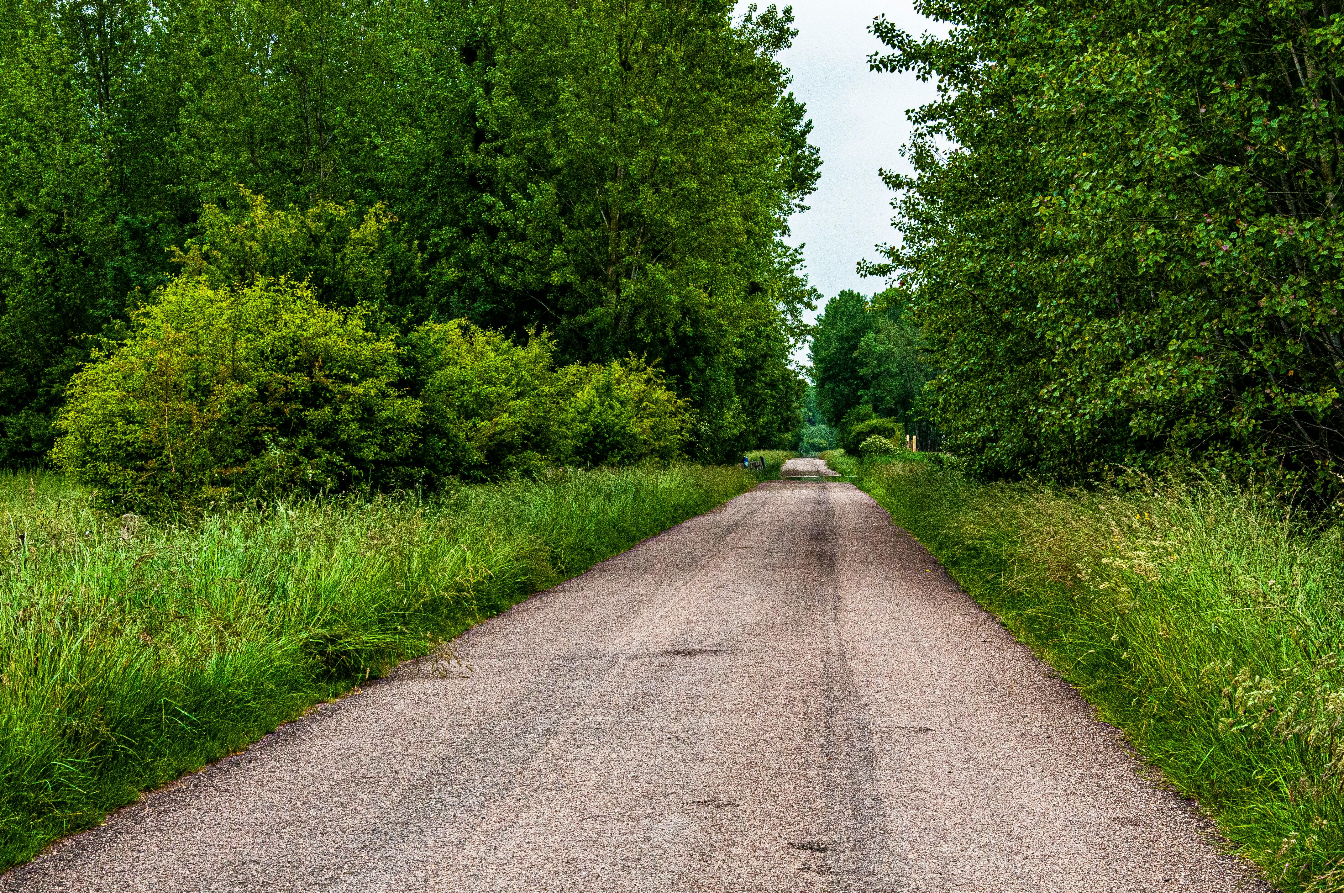 Trail Going Through the Rural Landscape · Free Stock Photo