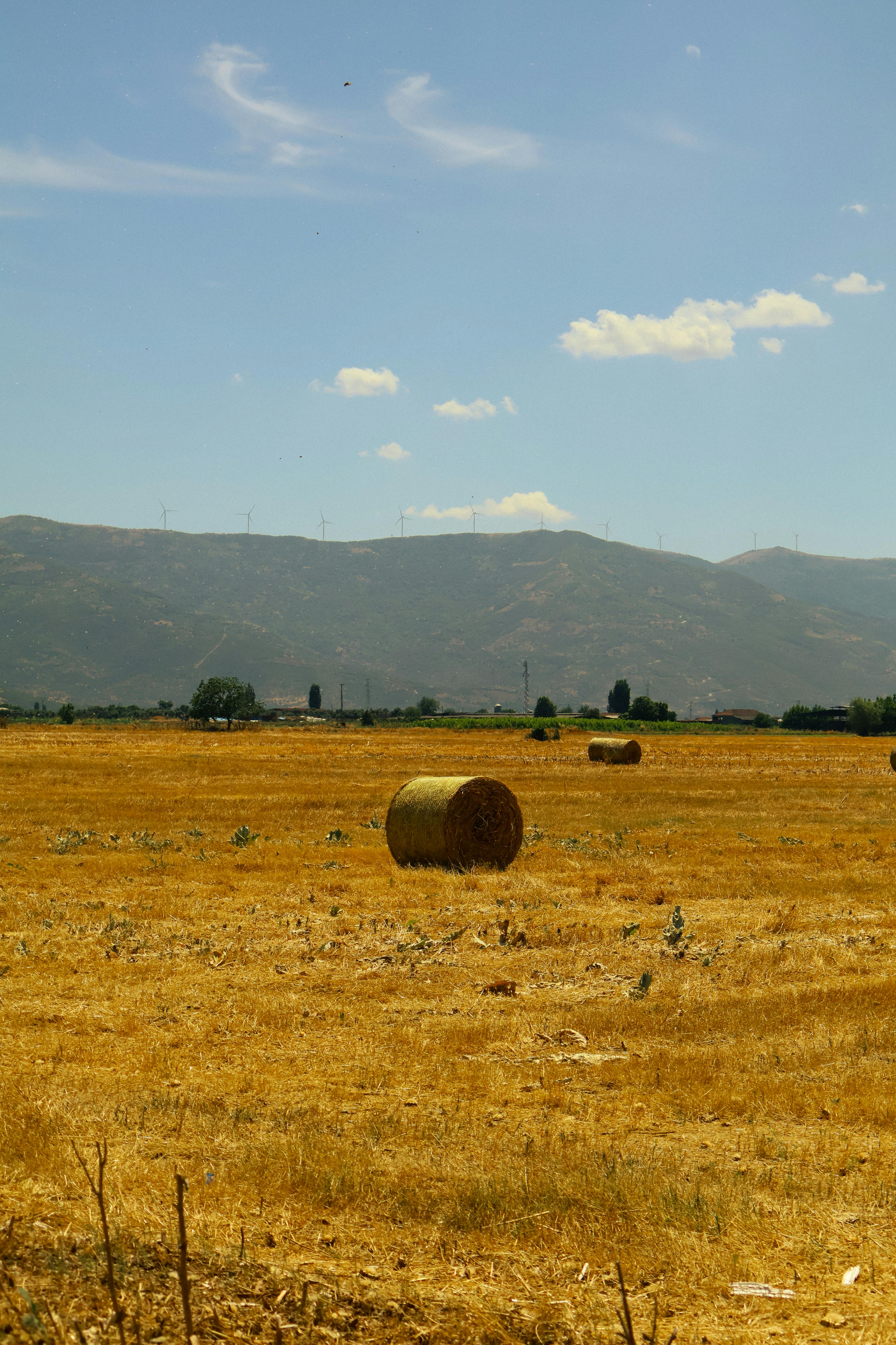 Hay Bale in a Field · Free Stock Photo