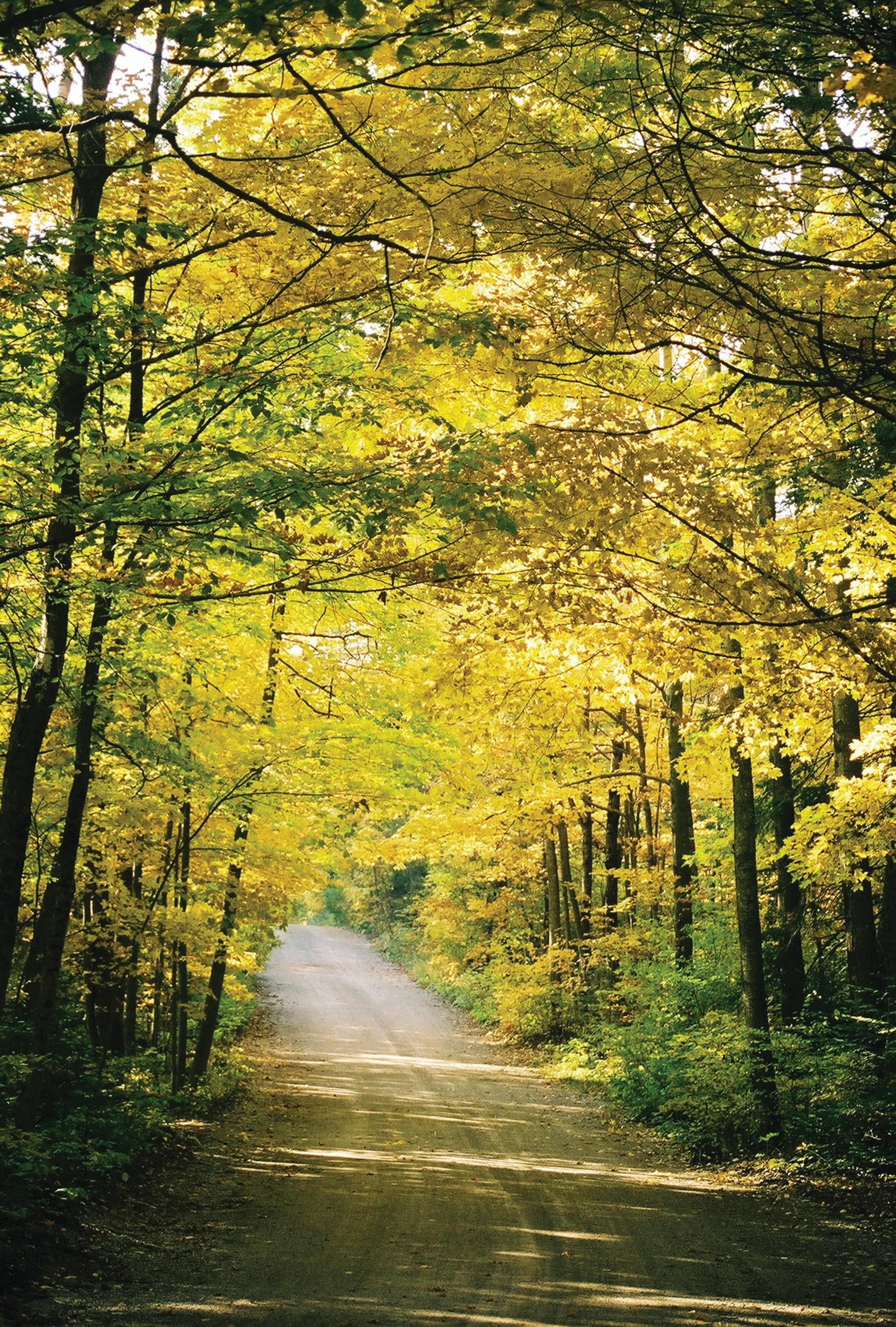 Midwest Photos, Download The BEST Free Midwest Stock Photos & HD Images