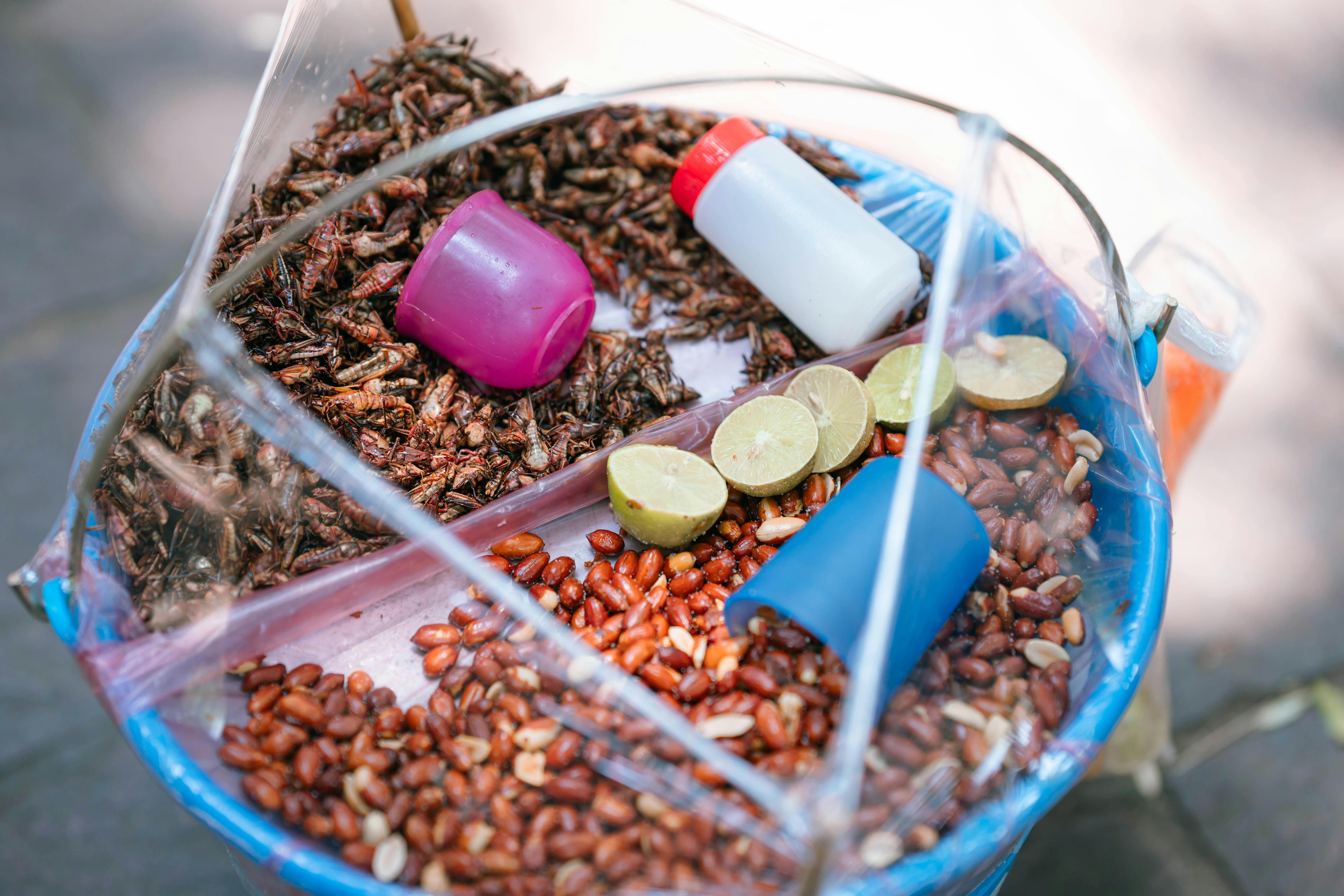 Close-up of a Container with Edible Insects · Free Stock Photo