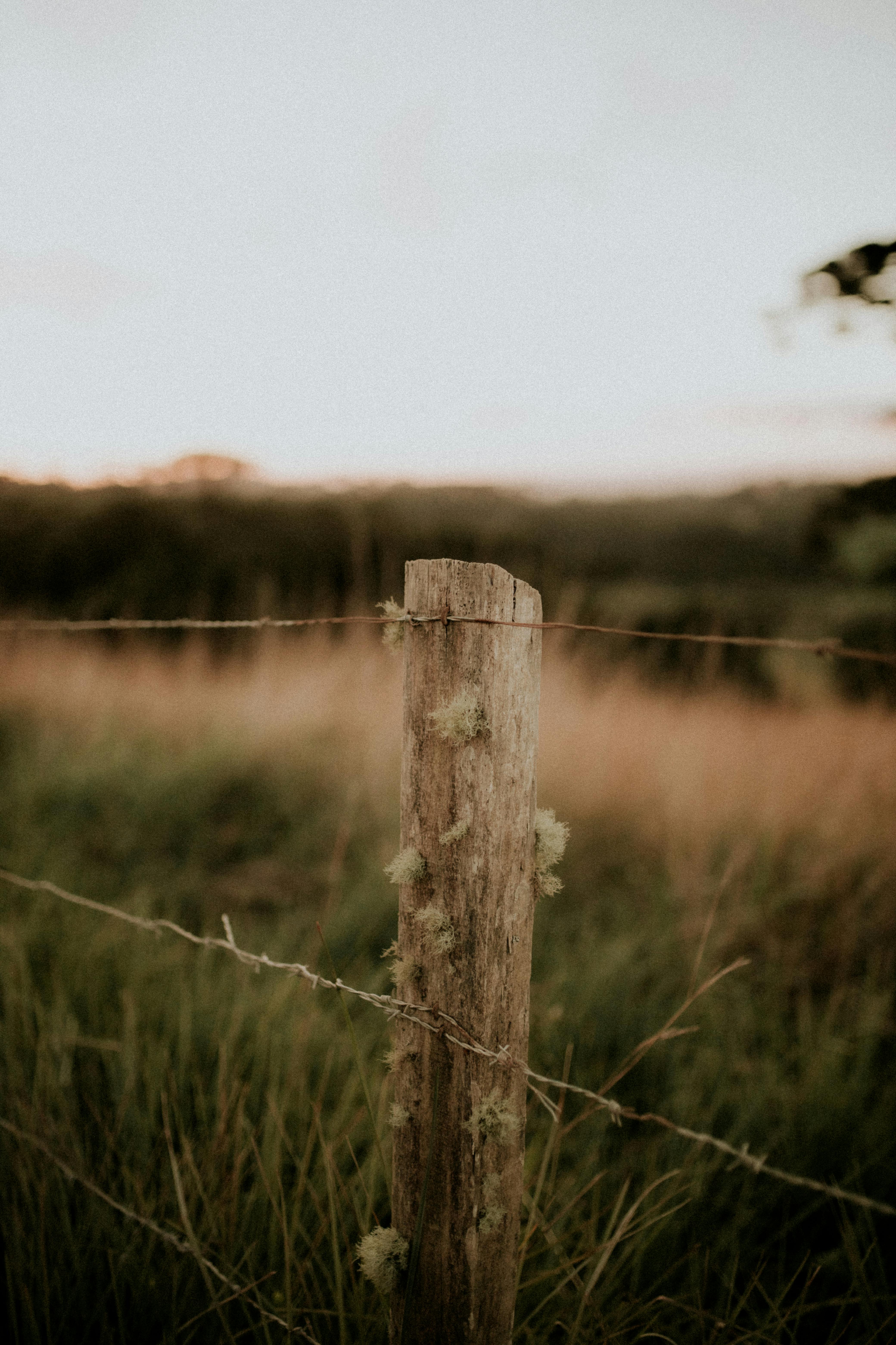 Cable Wire Tied on Post · Free Stock Photo