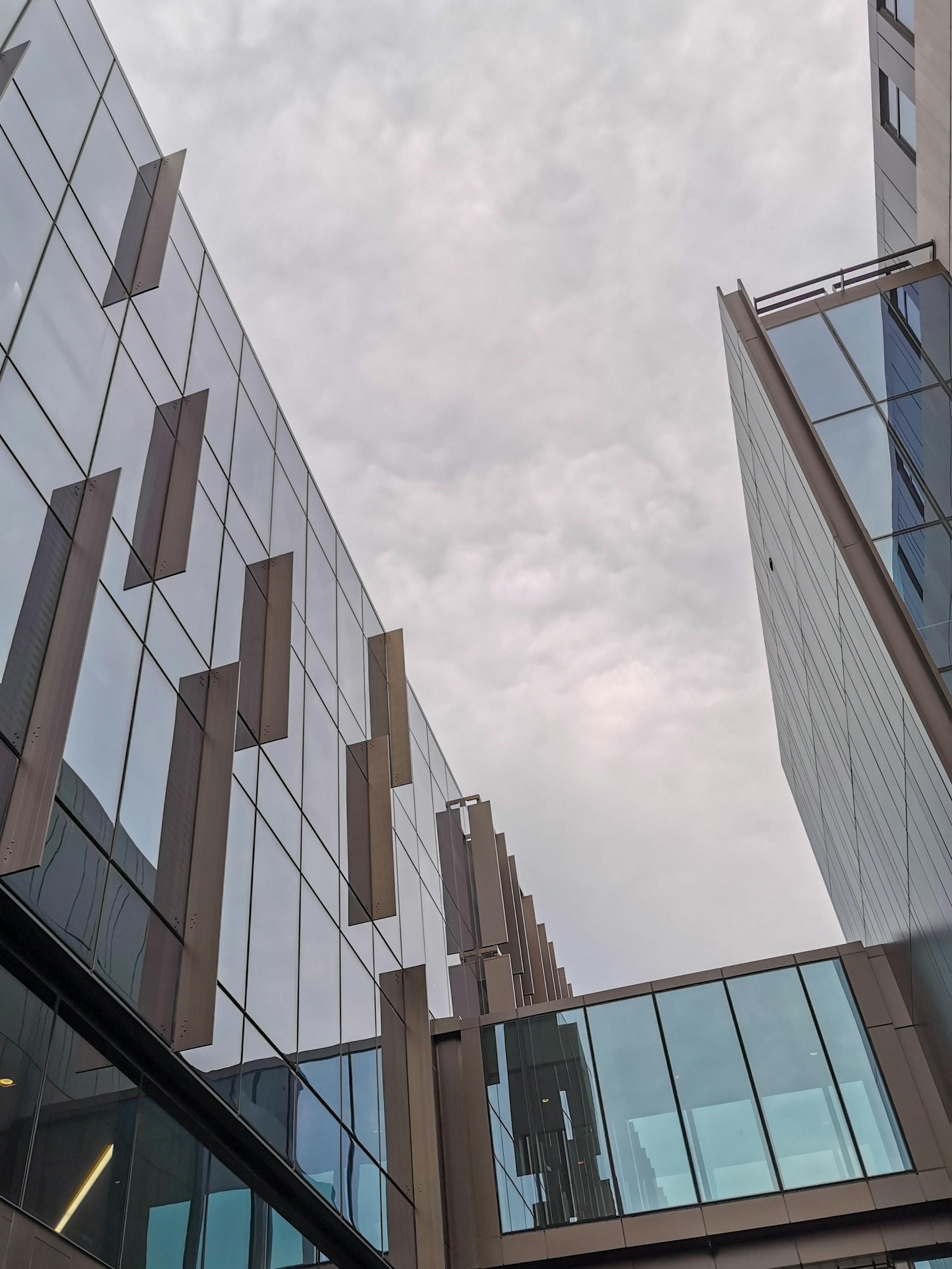 Andrew Lane - 사진