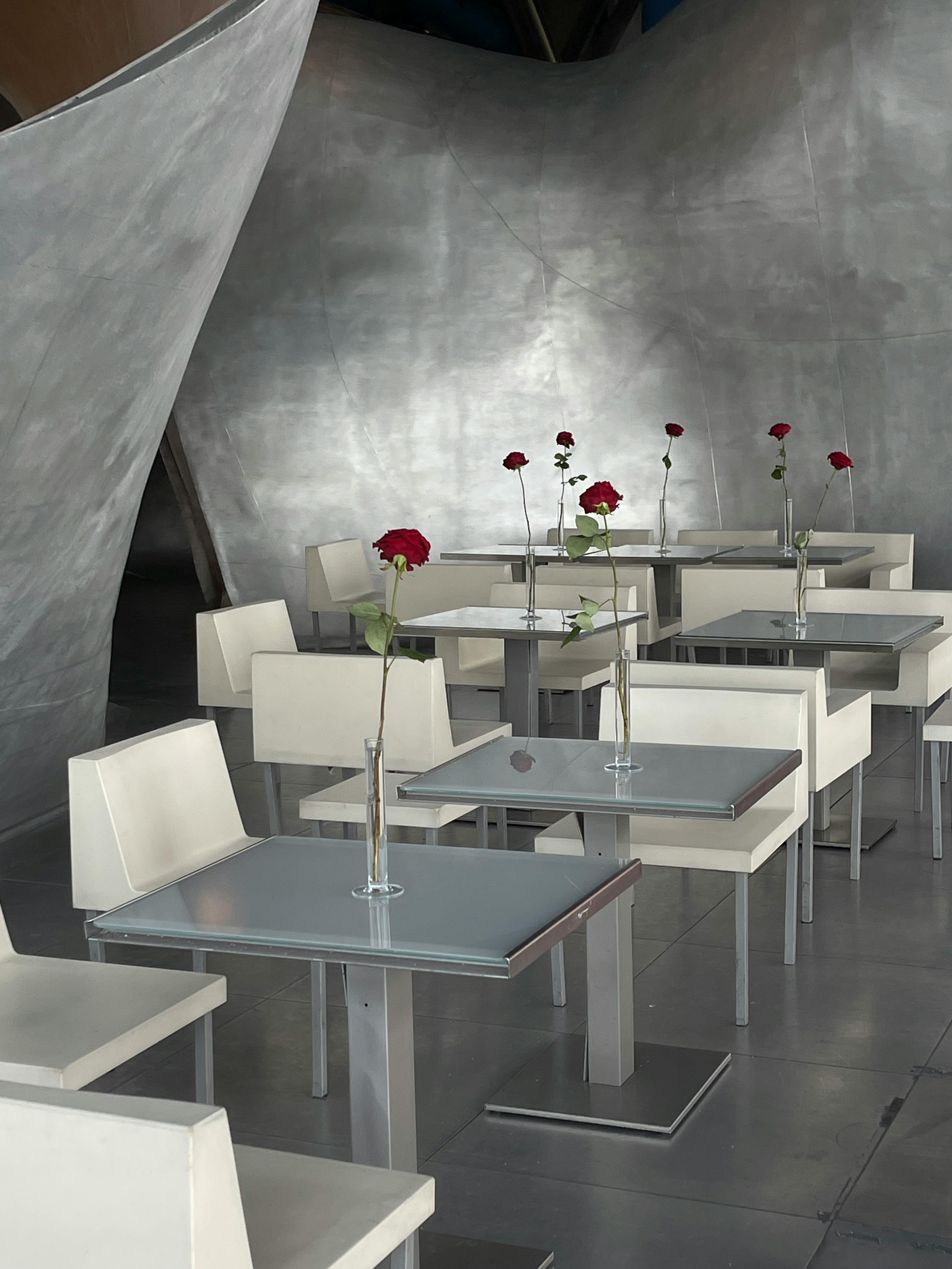 Pink Roses in a Vase · Free Stock Photo