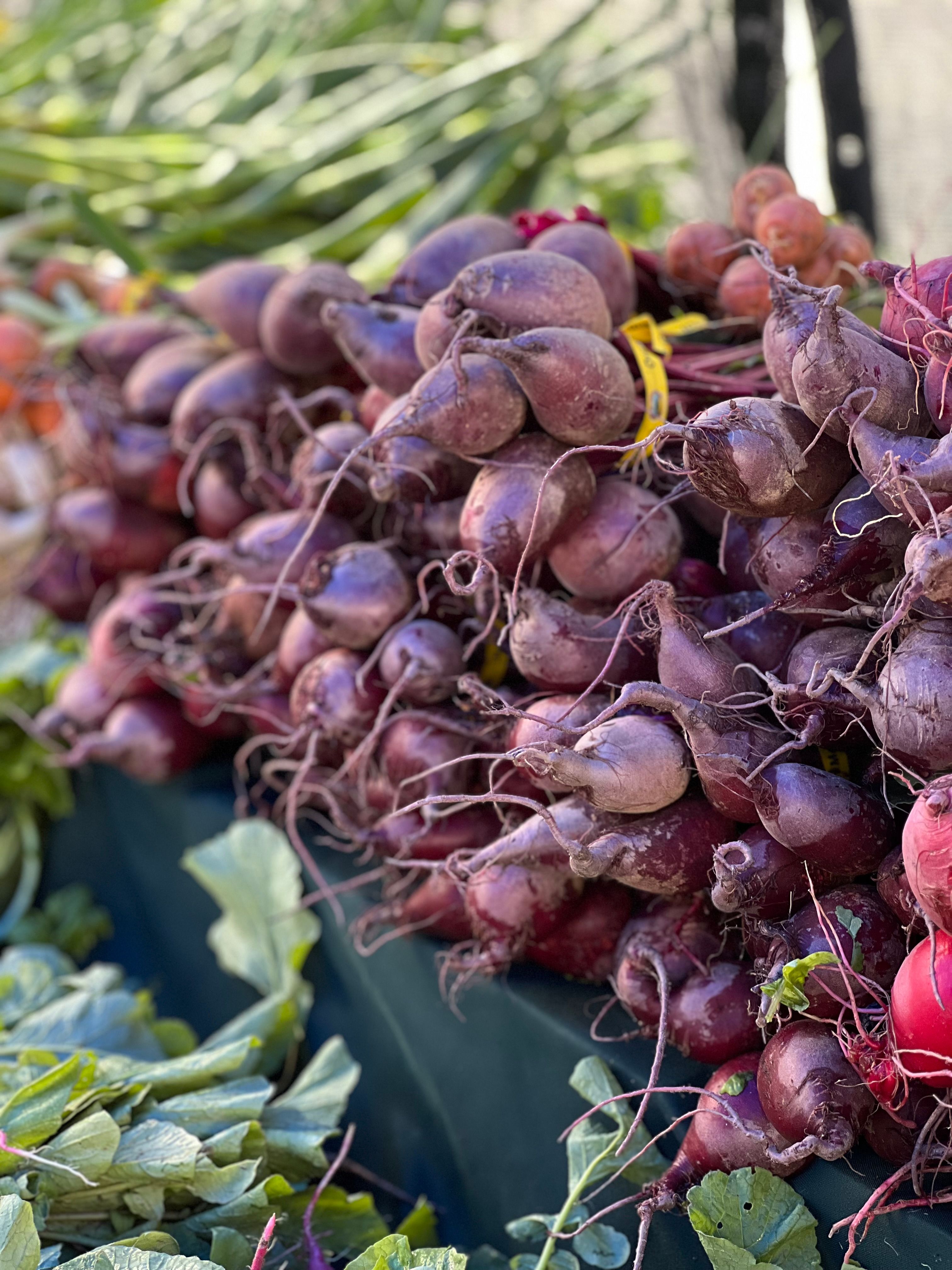 Abundance of Beetroots · Free Stock Photo