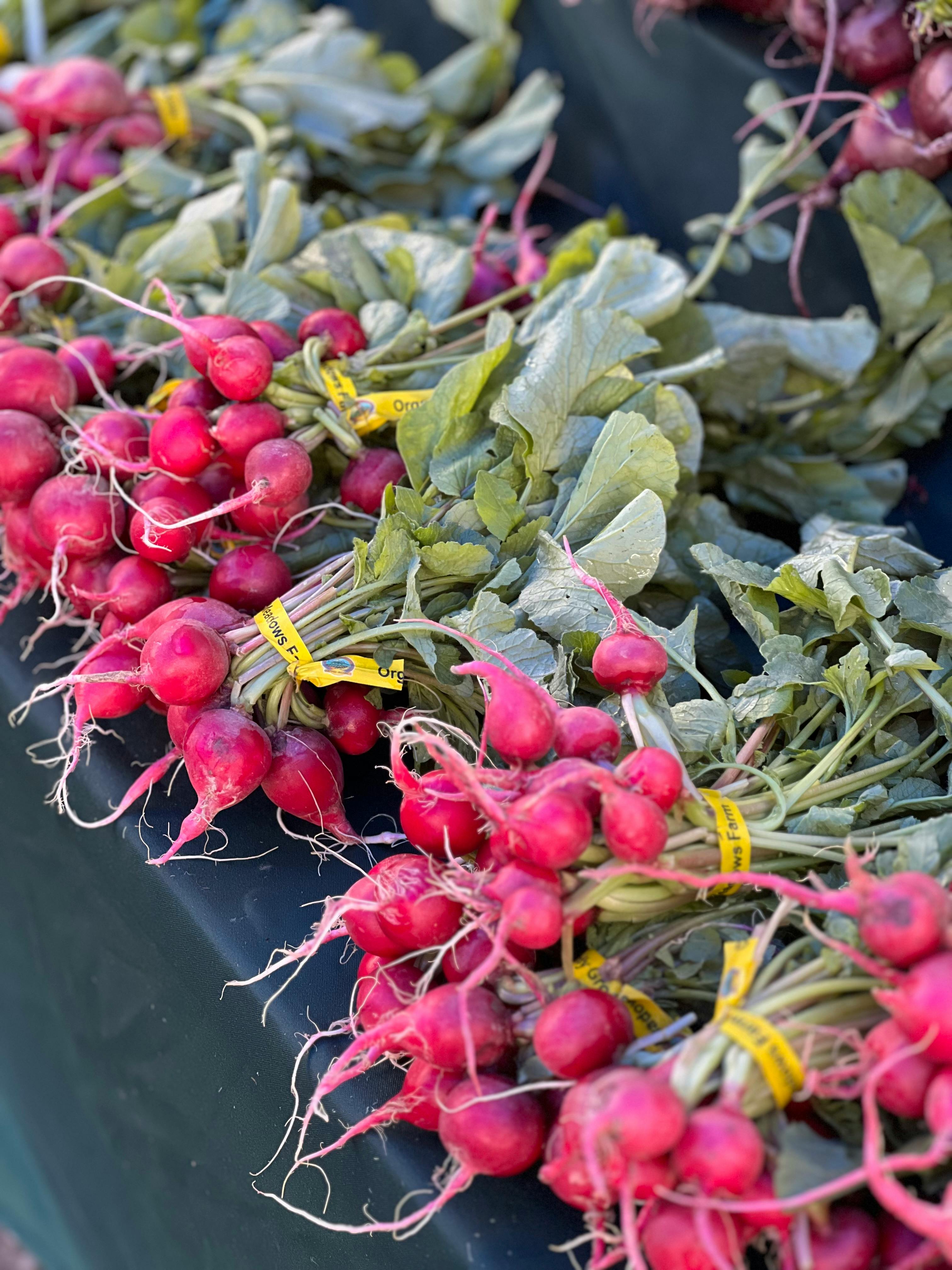 Red Radish Bundles at Bazaar · Free Stock Photo
